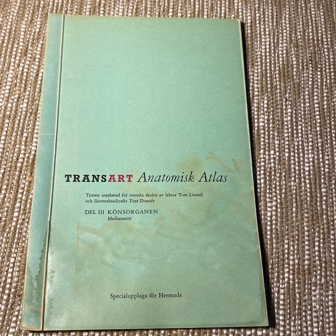 Anatomisk atlas från Transart, könsorganen | Köp på Tradera (716248531)