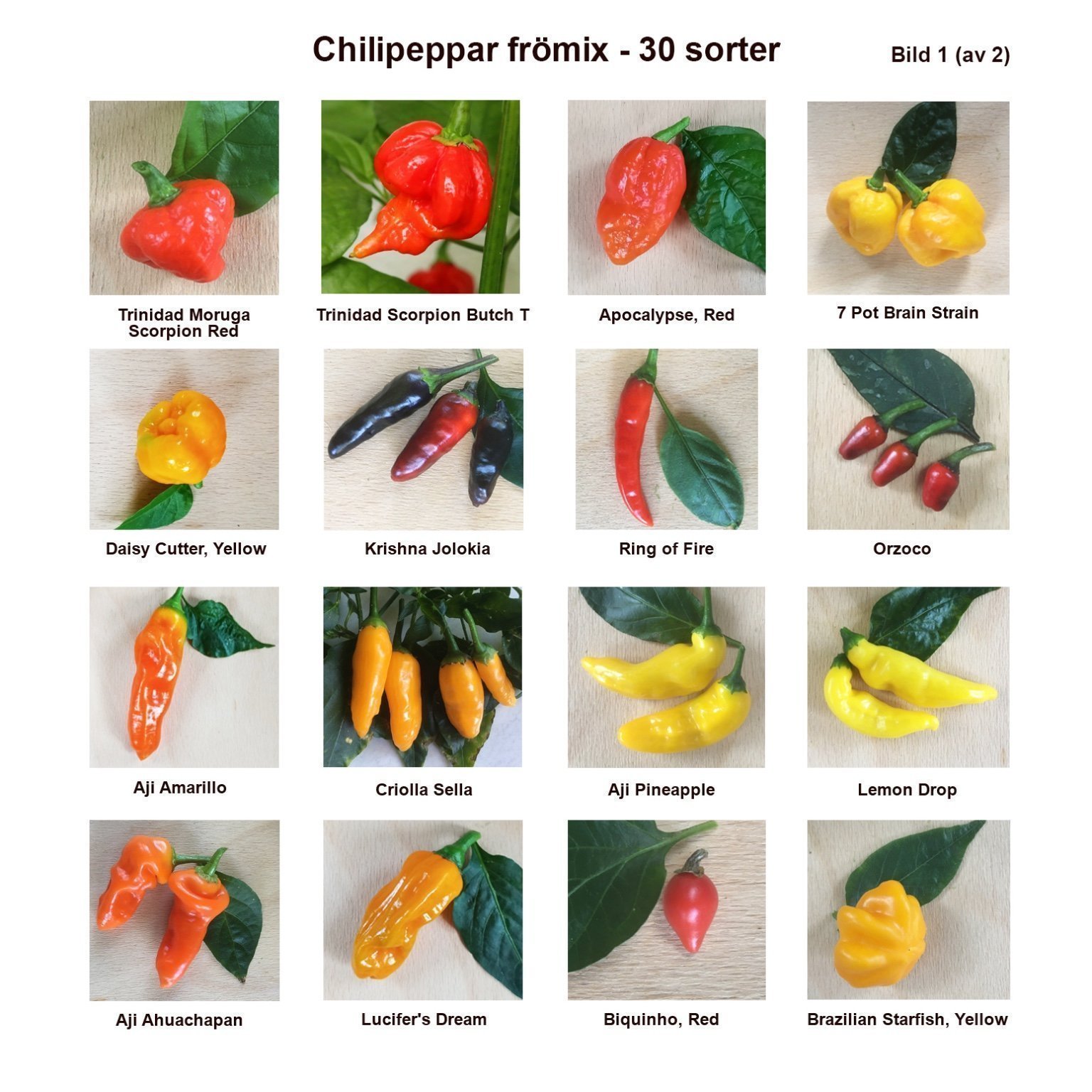 Se produkter som liknar Chili peppar frömix 30 sorter på Tradera ...