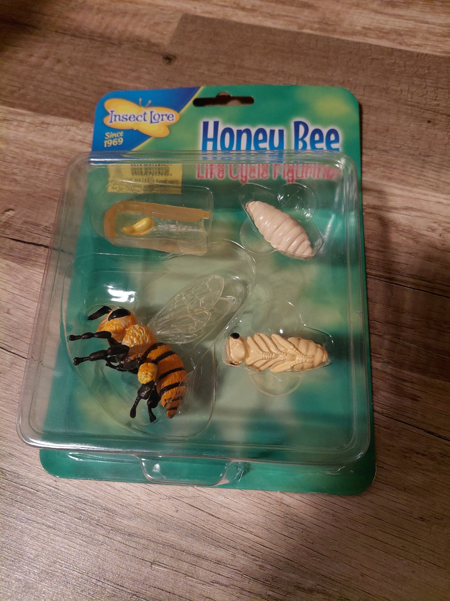 Ny Honey Bee Life Cycle Figurer | Köp på Tradera (732868365)