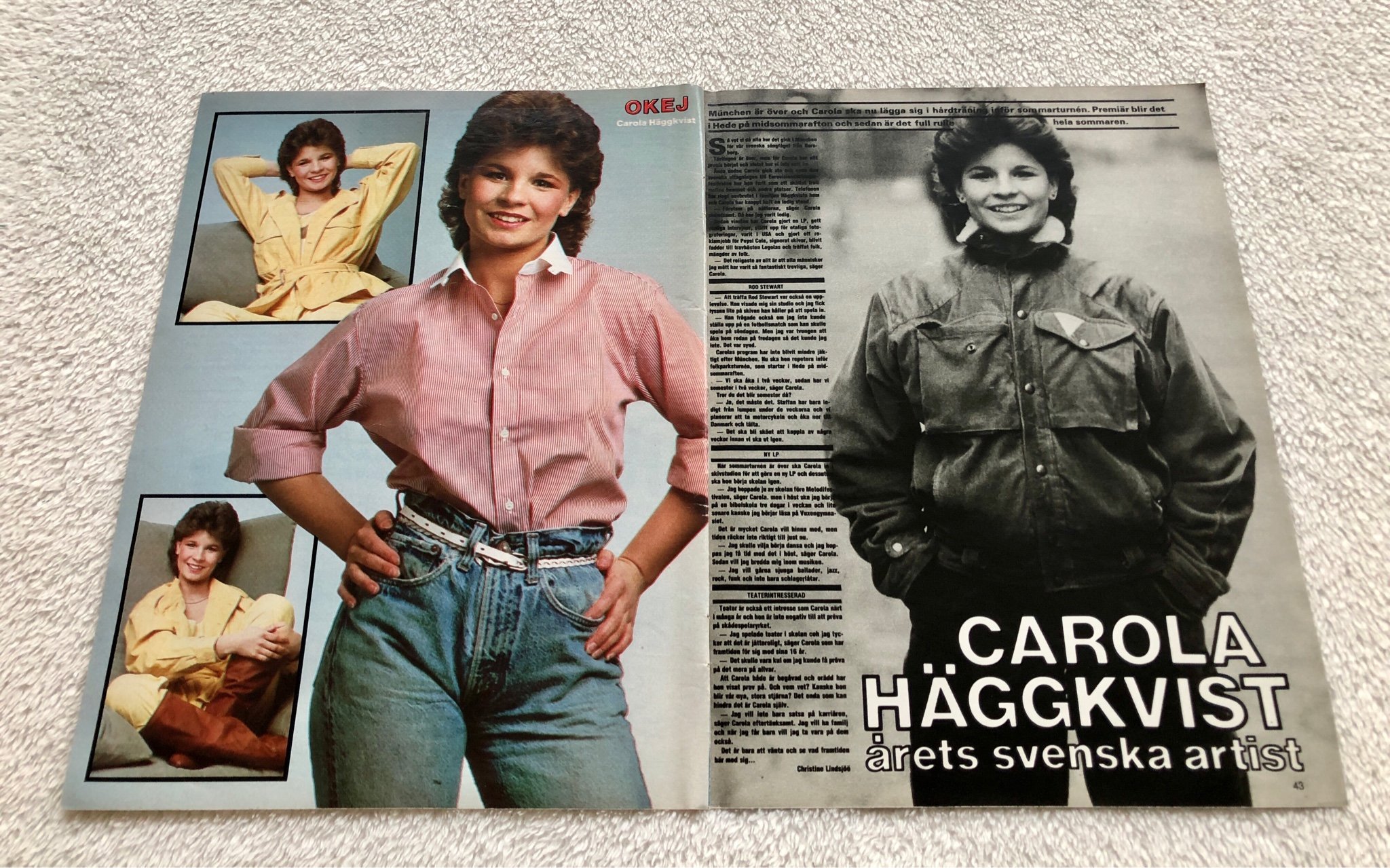 Se produkter som liknar CAROLA HÄGGKVIST 1983 affisch.. på Tradera ...