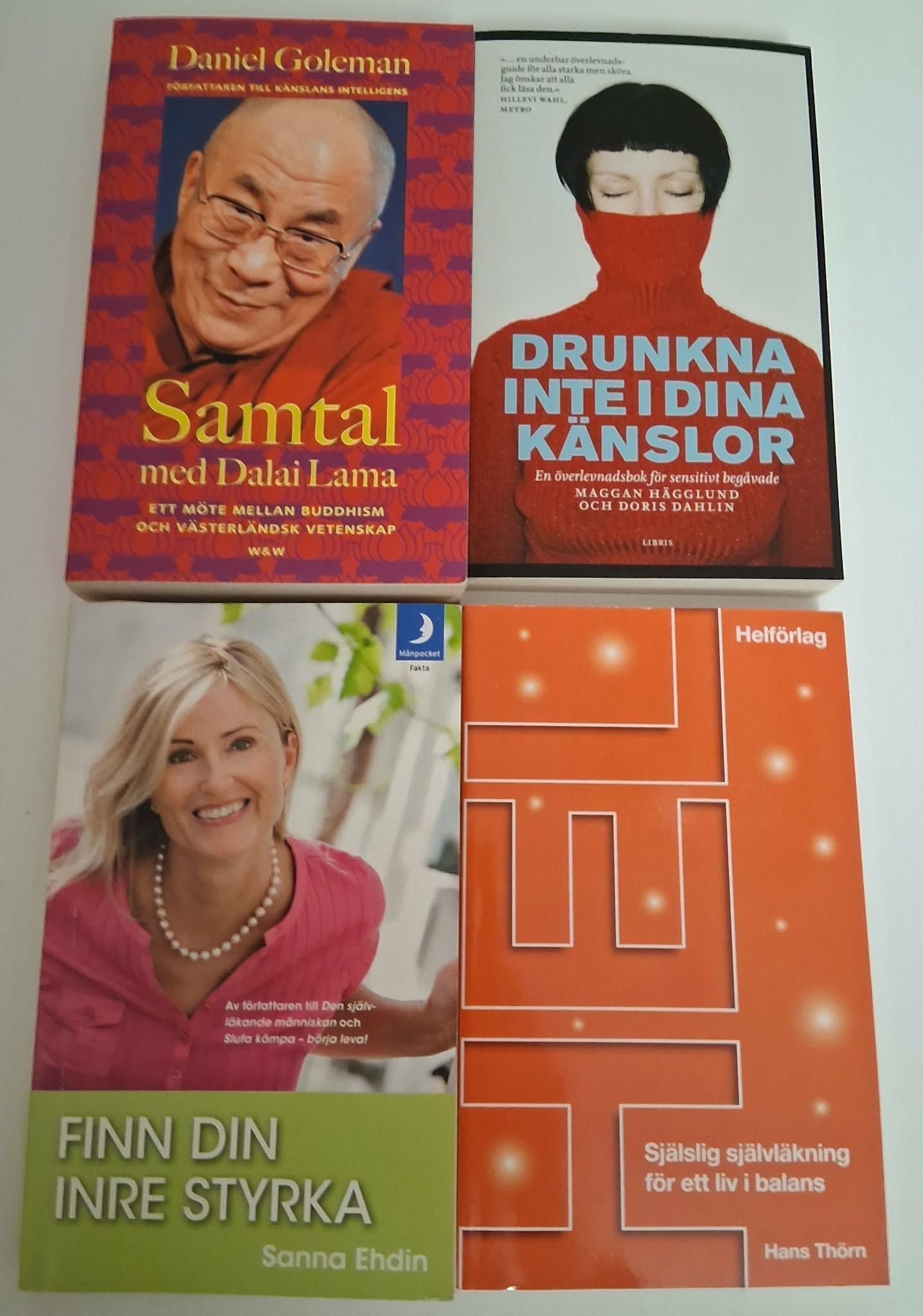 Samtal med Dalai Lama av Daniel Goleman, okänt .. | Köp på Tradera ...