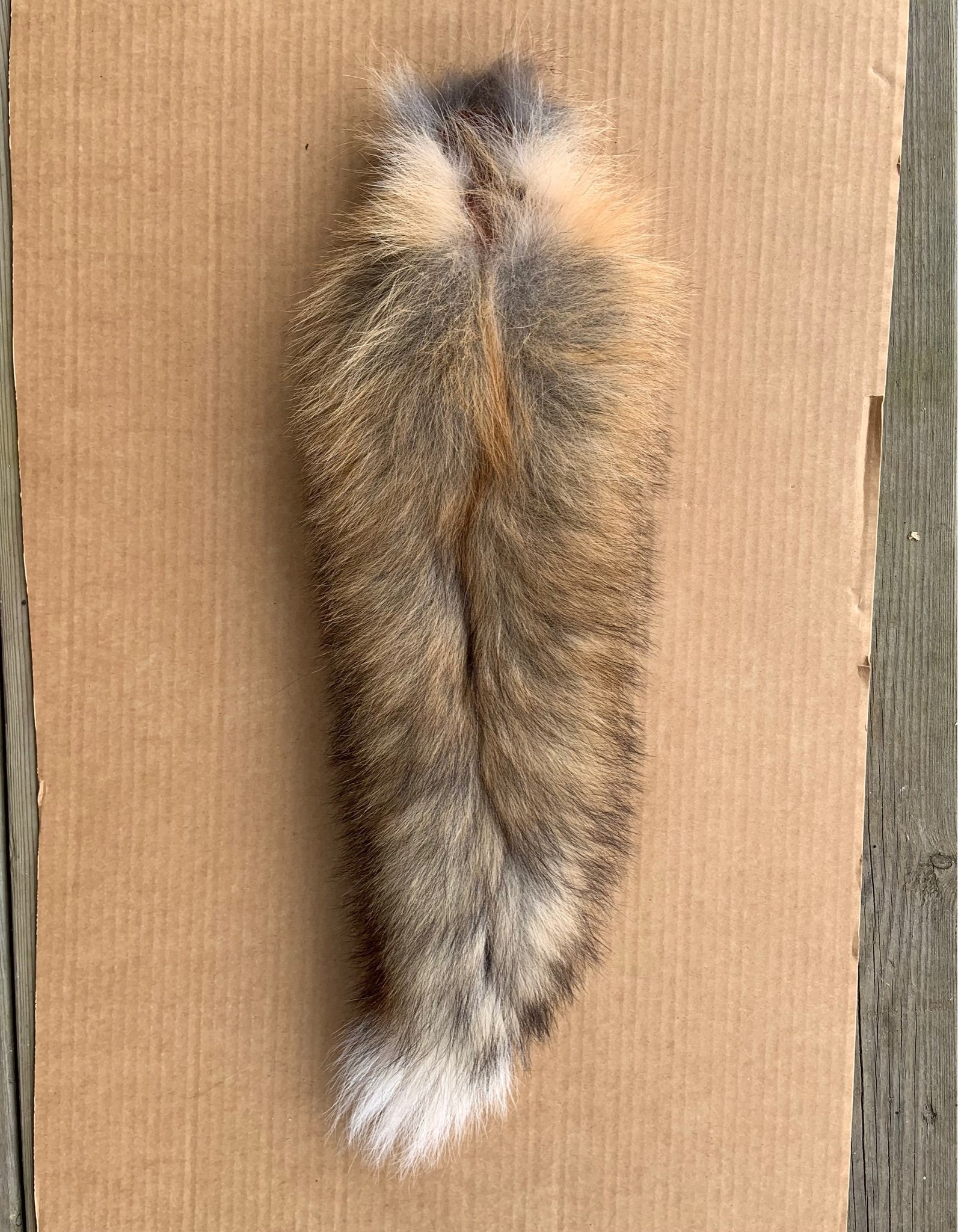 Se produkter som liknar Rävsvans / Rödräv / Rävskinn .. på Tradera ...