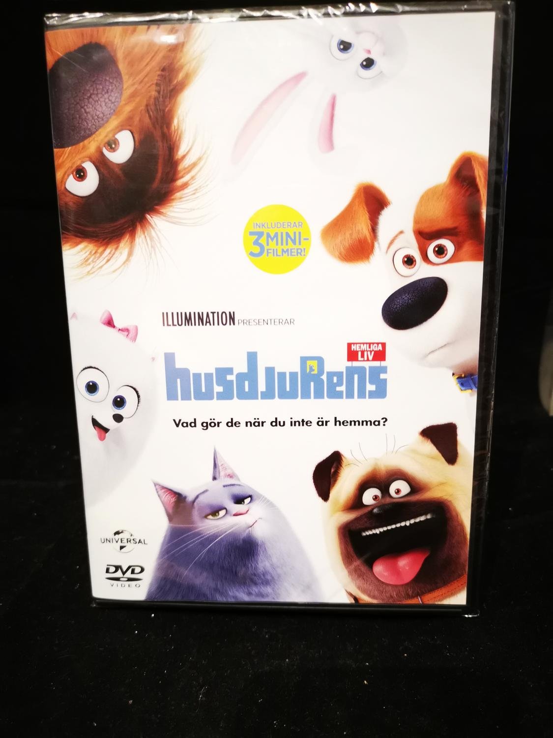 Husdjurens Hemliga Liv (DVD) NY/Inplastad | Köp på Tradera (392613294)