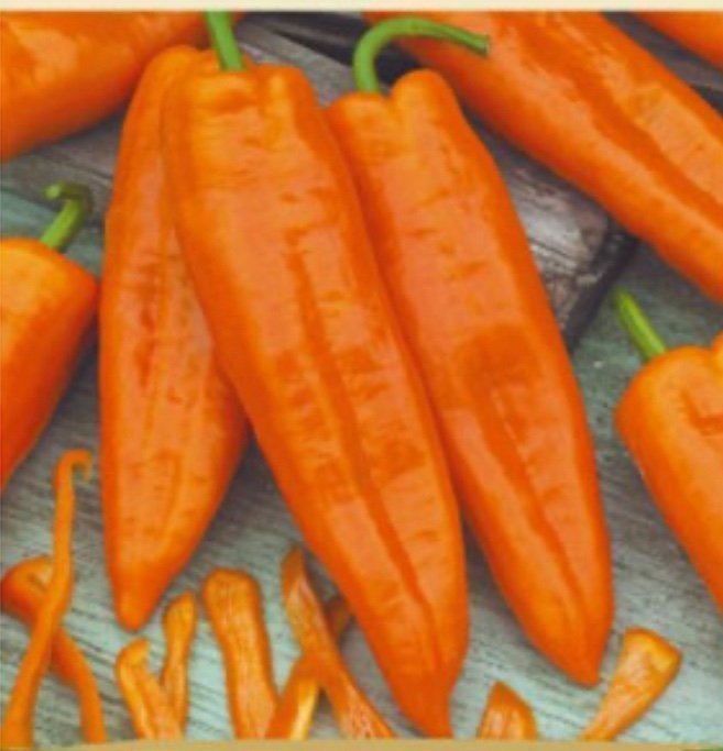 Se produkter som liknar Spetspaprika orange på Tradera (632544890)