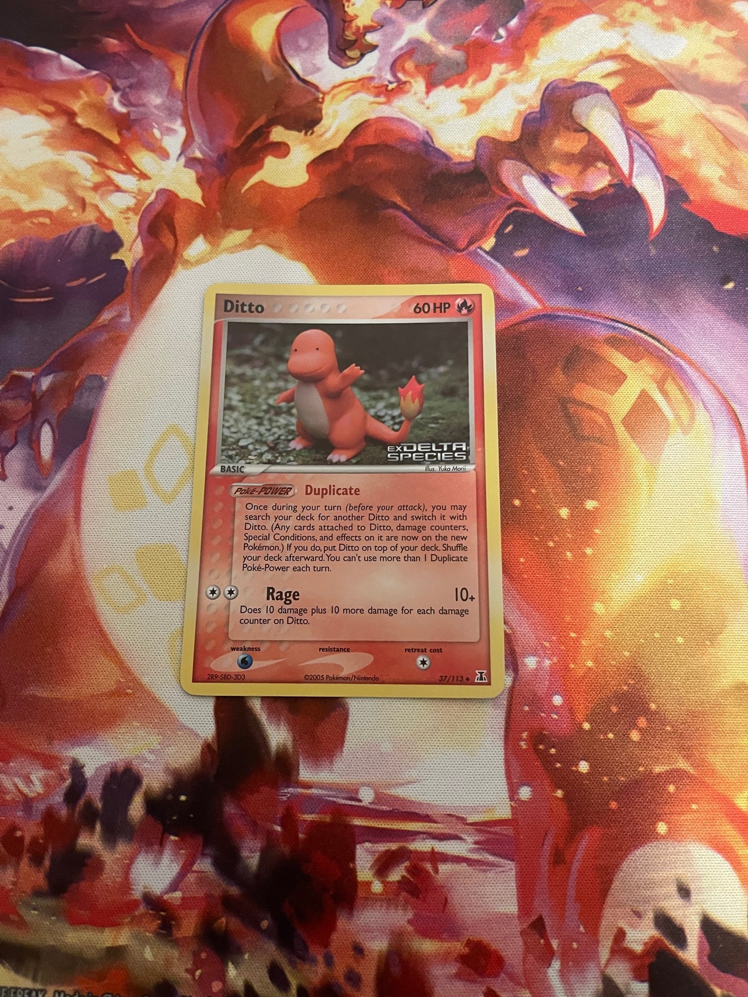 Pokemonkort - Ditto | Köp på Tradera (702344157)