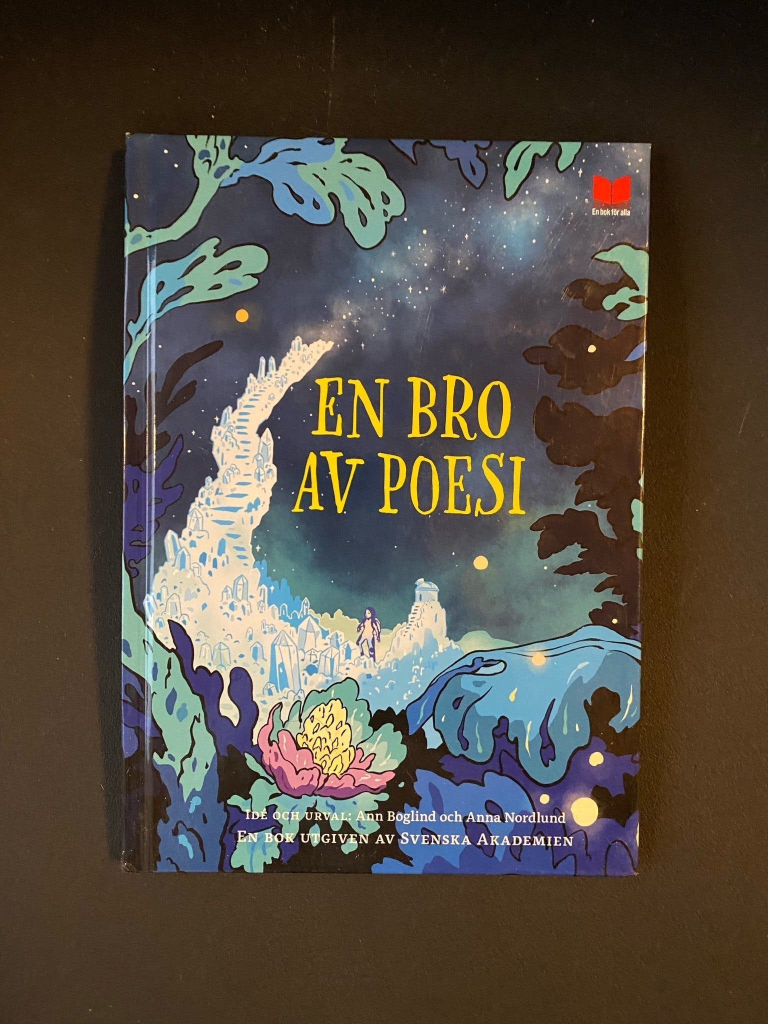 En bro av poesi - Ann Boglind och Anna Nordlund | Köp på Tradera ...