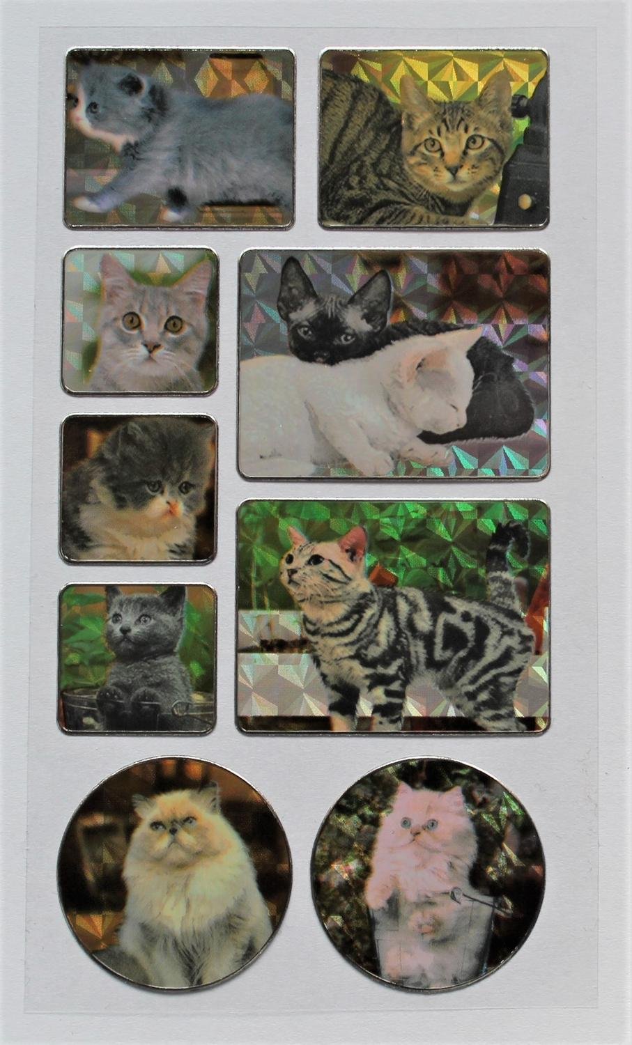 Stickers glitter Katt Kattor Katte.. | Köp från Kurius1 på Tradera ...