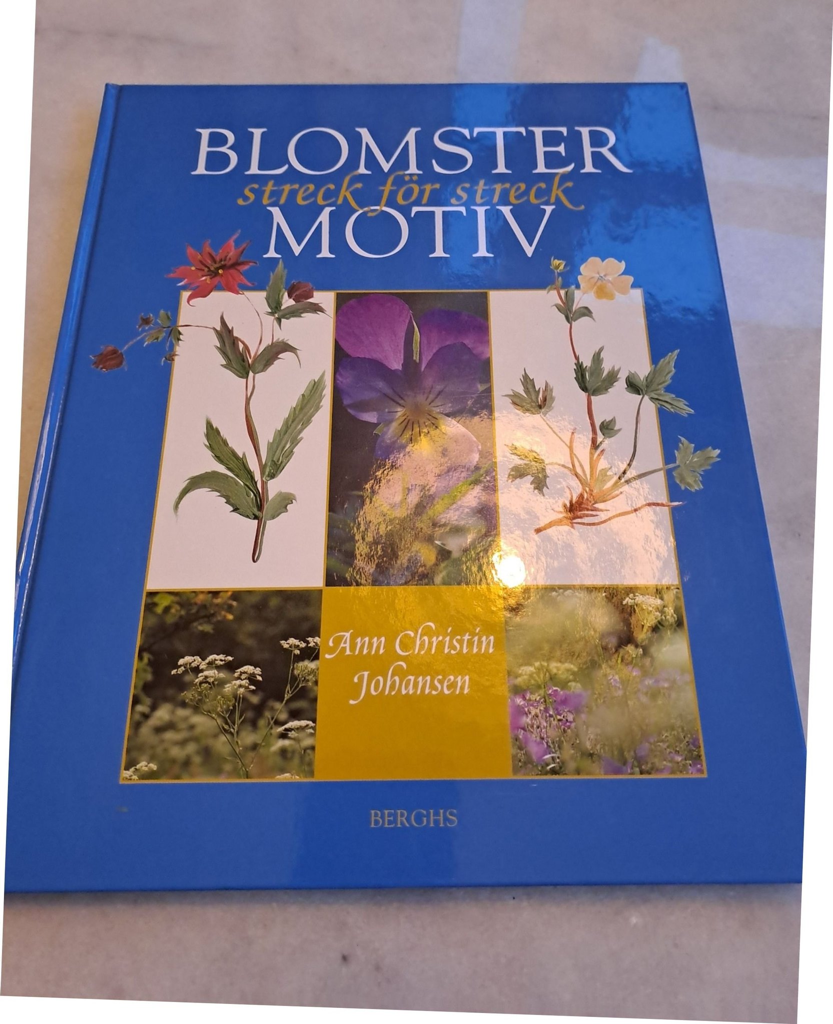 Blomstermotiv streck för streck av Ann Christin.. | Köp på Tradera ...