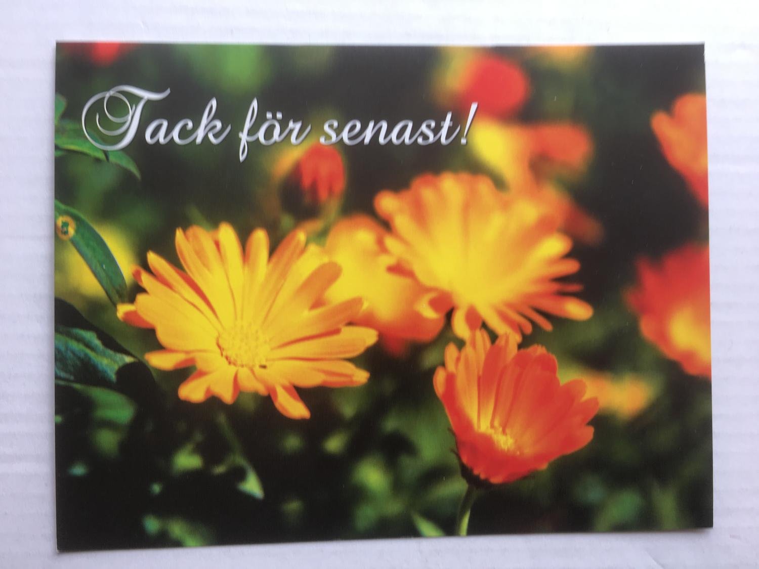 Ett vykort - Tack för senast! - blomma/ blommor | Köp på Tradera ...