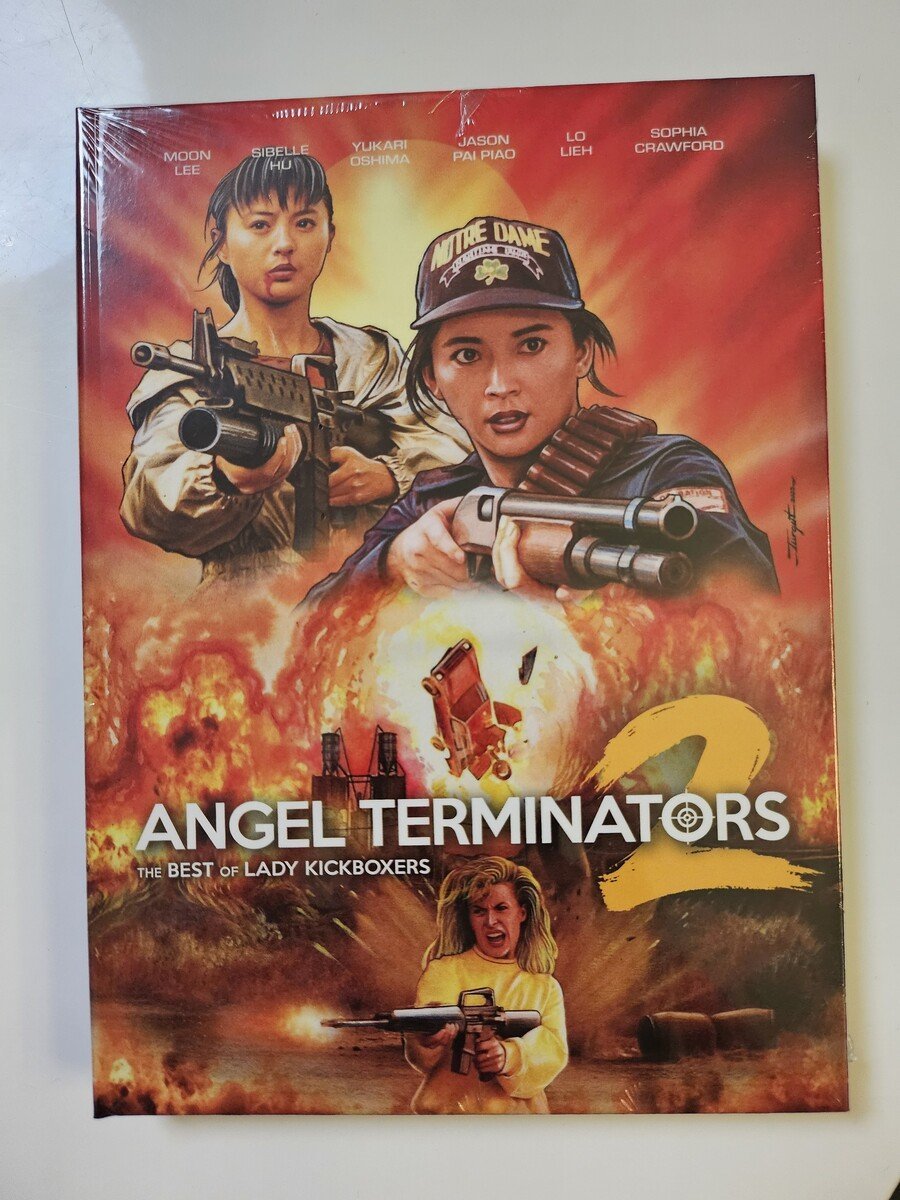 Angel Terminators 2 (1993 Lmtd Mediabook 100 ex.. | Köp på Tradera ...
