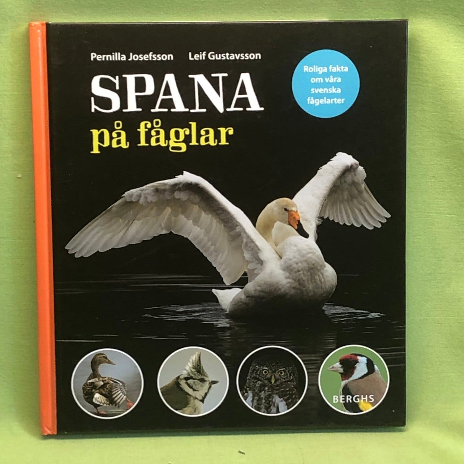 Se produkter som liknar Spana på fåglar roliga fakta .. på Tradera ...