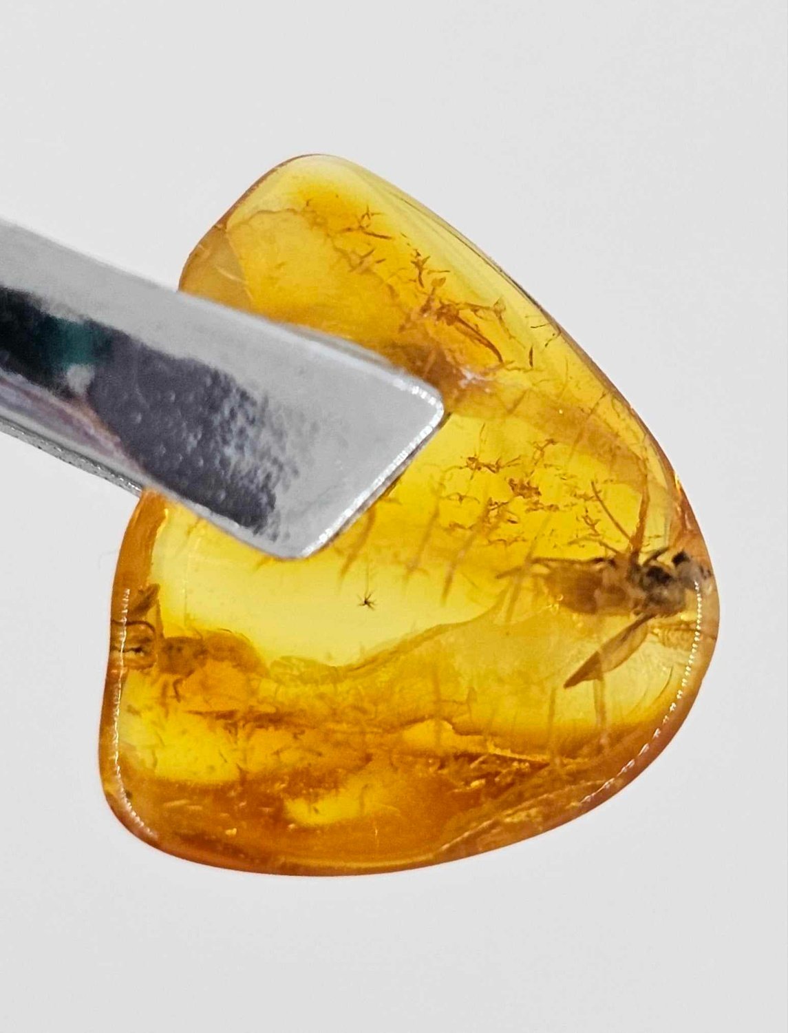 Se produkter som liknar Unik bärnsten med insekt på Tradera (655312087)