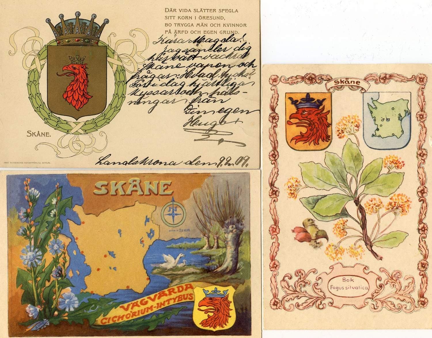 Skånes Landskapsvapen .. | Köp från LindbladCartophilia på Tradera ...