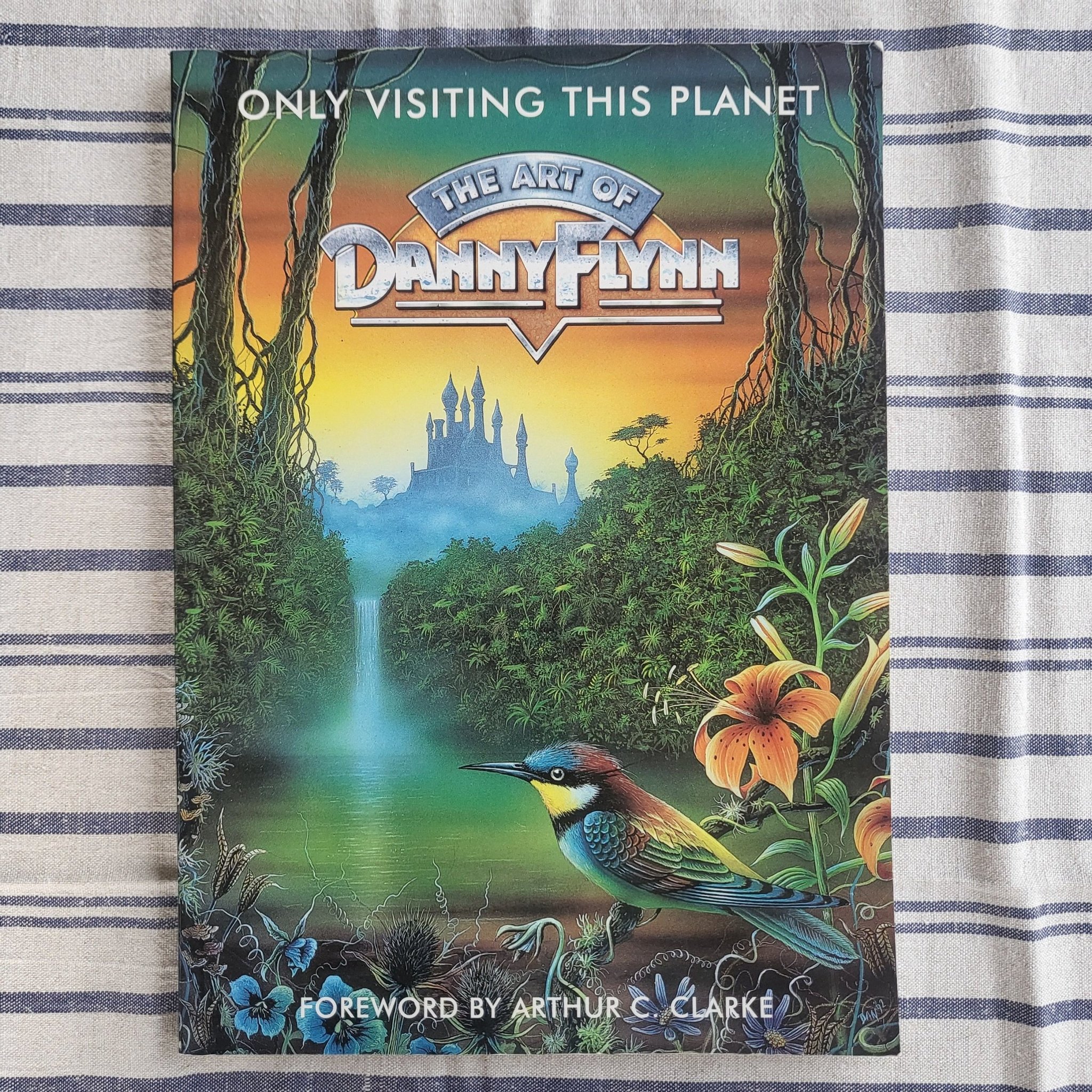 The Art of Danny Flynn - Only Visiting This Pla.. | Köp på Tradera ...