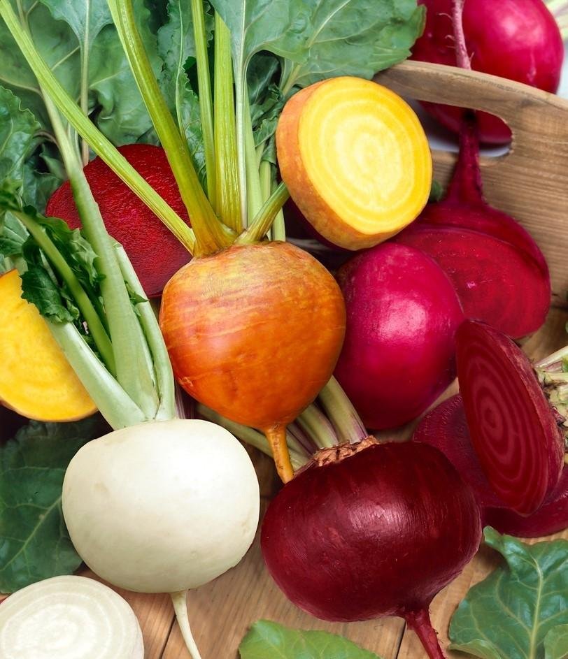 5 olika betor/ rödbetor, minst 100 frön | Köp på Tradera (567563942)