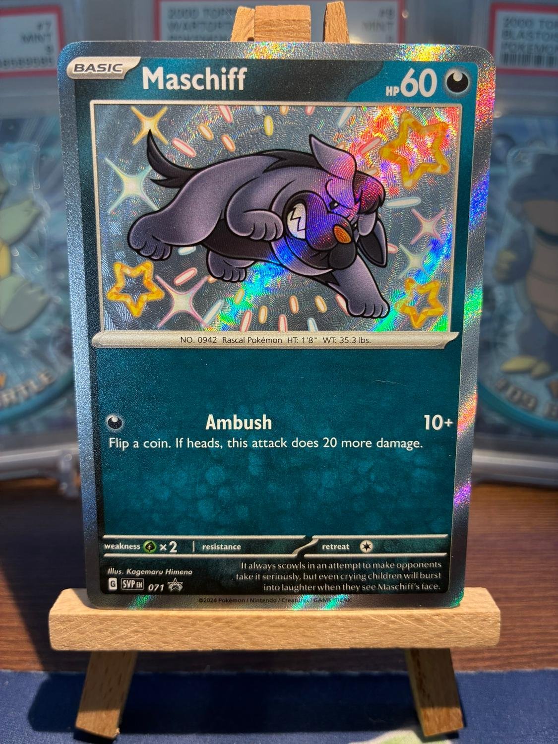 Maschiff - Shiny Promo - SVP071 Pokemon Scarlet.. | Köp på Tradera ...