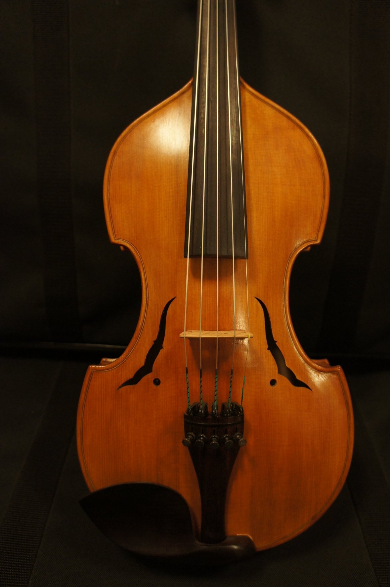 5 strängad fiol med etui | Köp på Tradera (565794412)