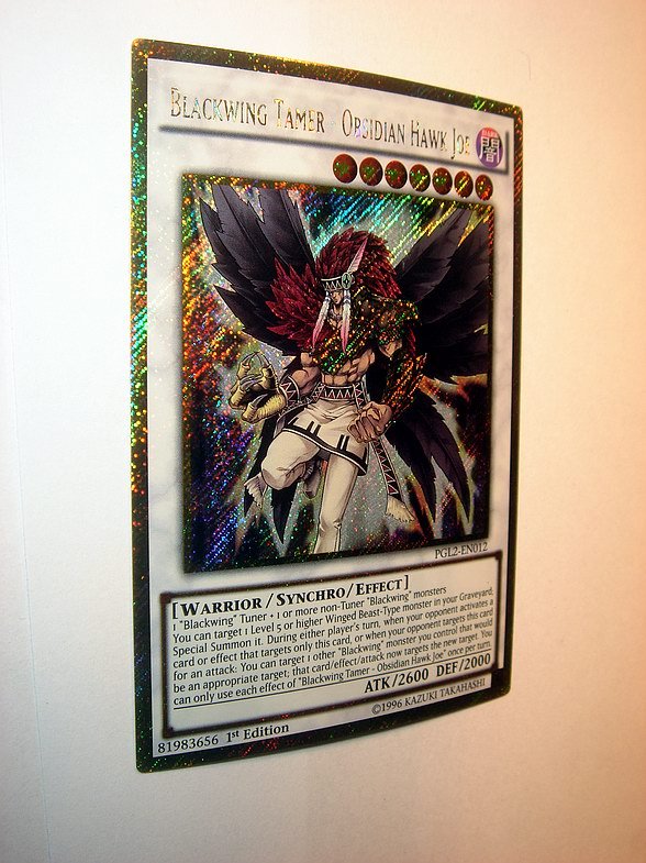 Blackwing Tamer - Obsidian Hawk Jo.. | Köp från caprod2 på Tradera ...
