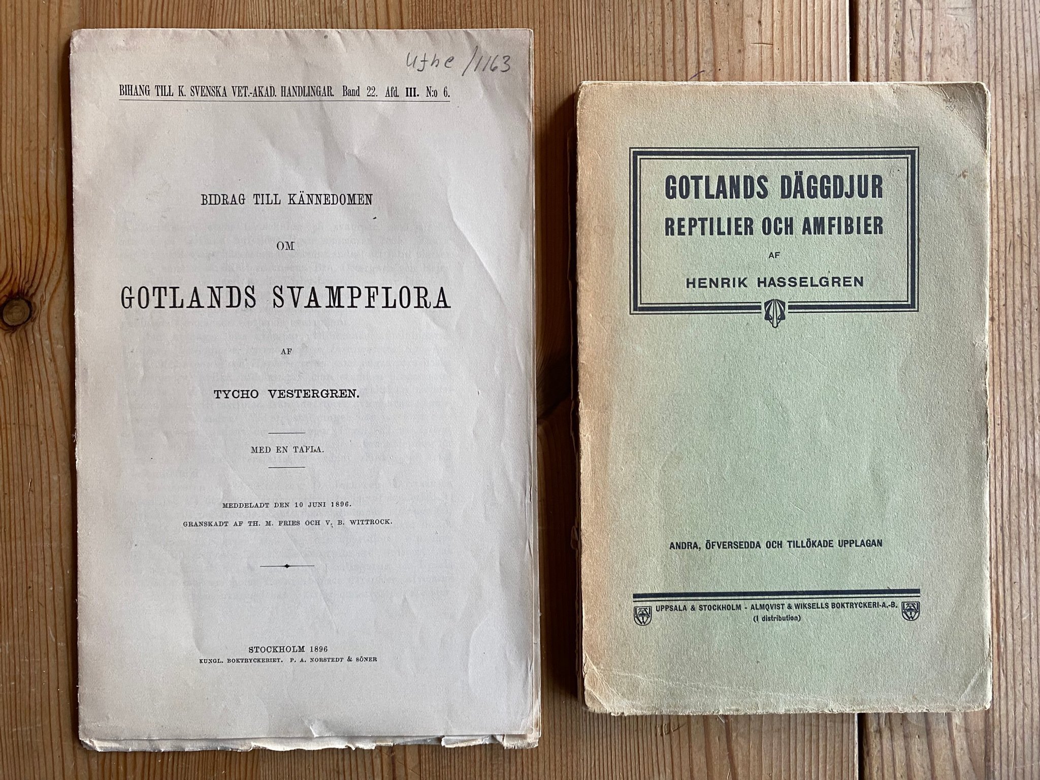 Gotlands Svampflora av Vestergren & Gotlands Dä.. | Köp på Tradera ...