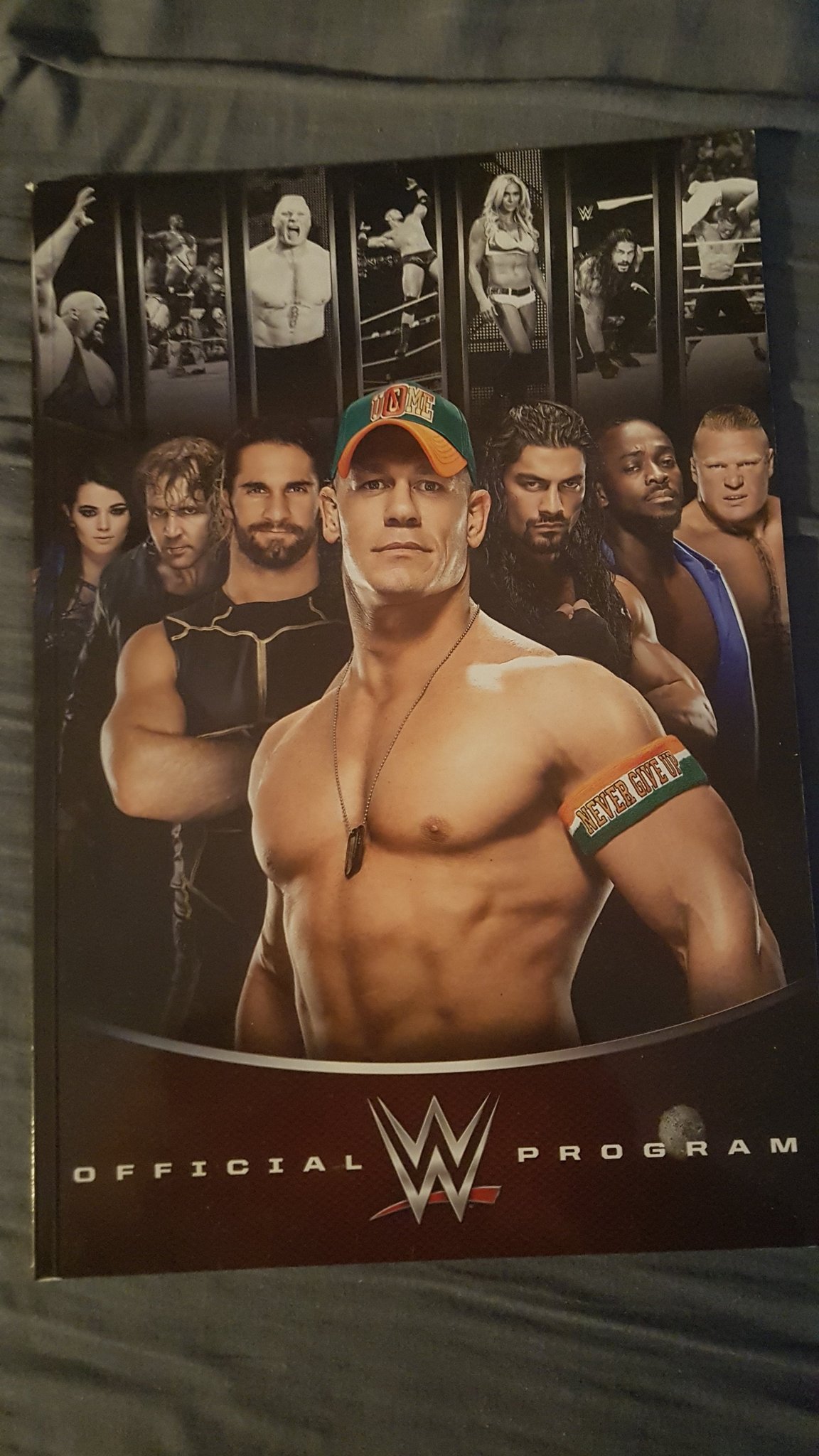 Se produkter som liknar WWE Official Program 2015 - 2.. på Tradera ...