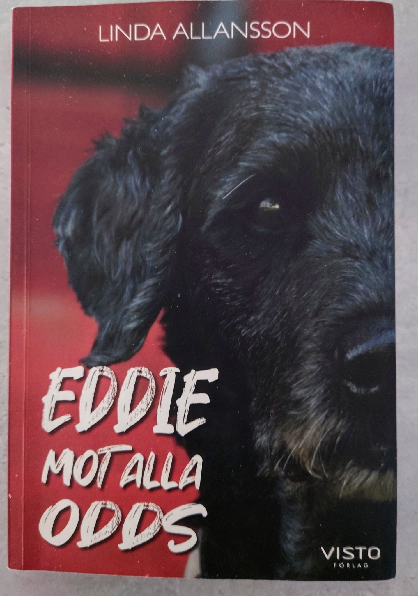 Eddie mot alla odds - Linda Allansson 383 sidor.. | Köp på Tradera ...