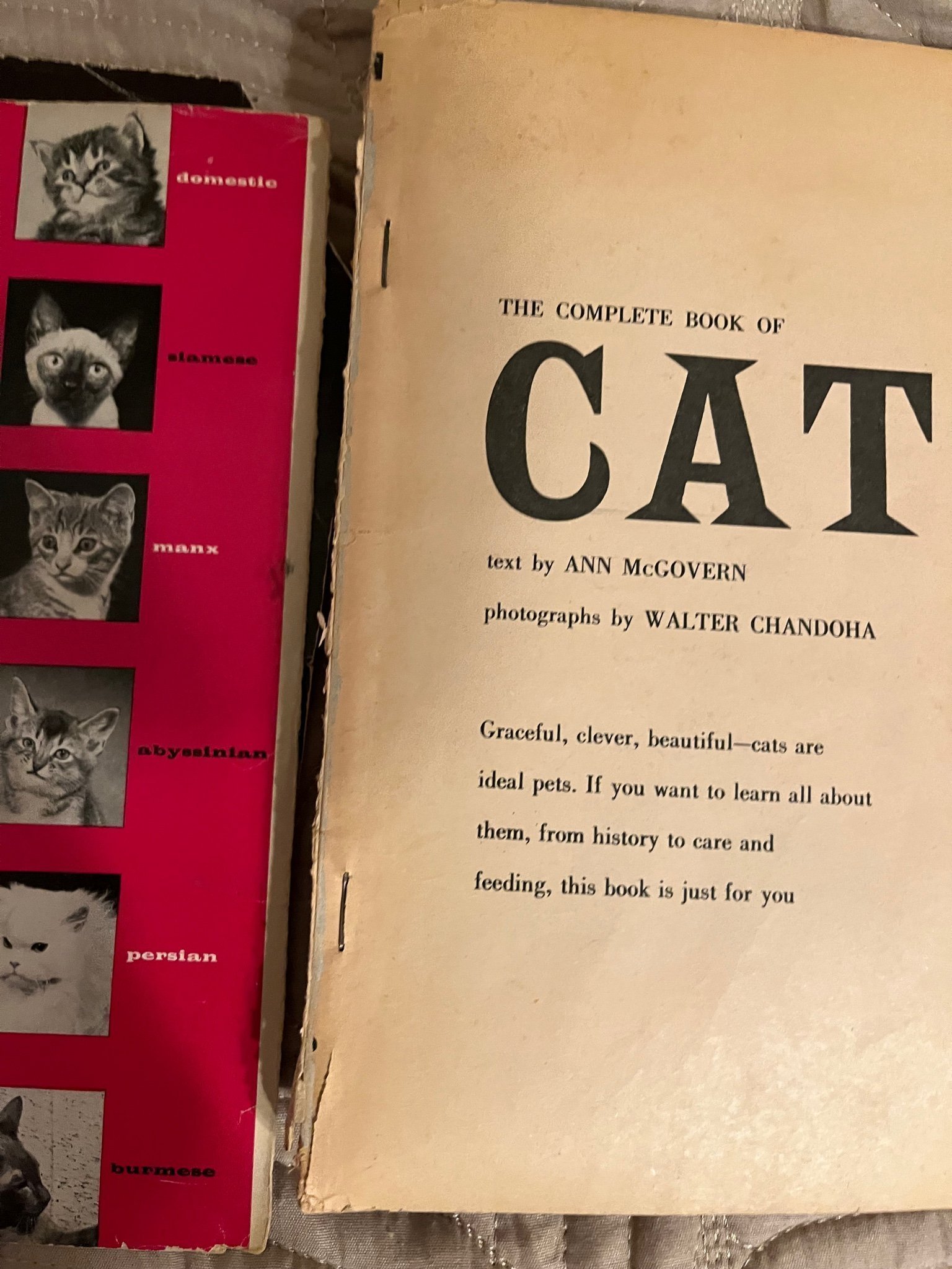 The Complete Book of Cats av Ann McGovern | Köp på Tradera (734301812)