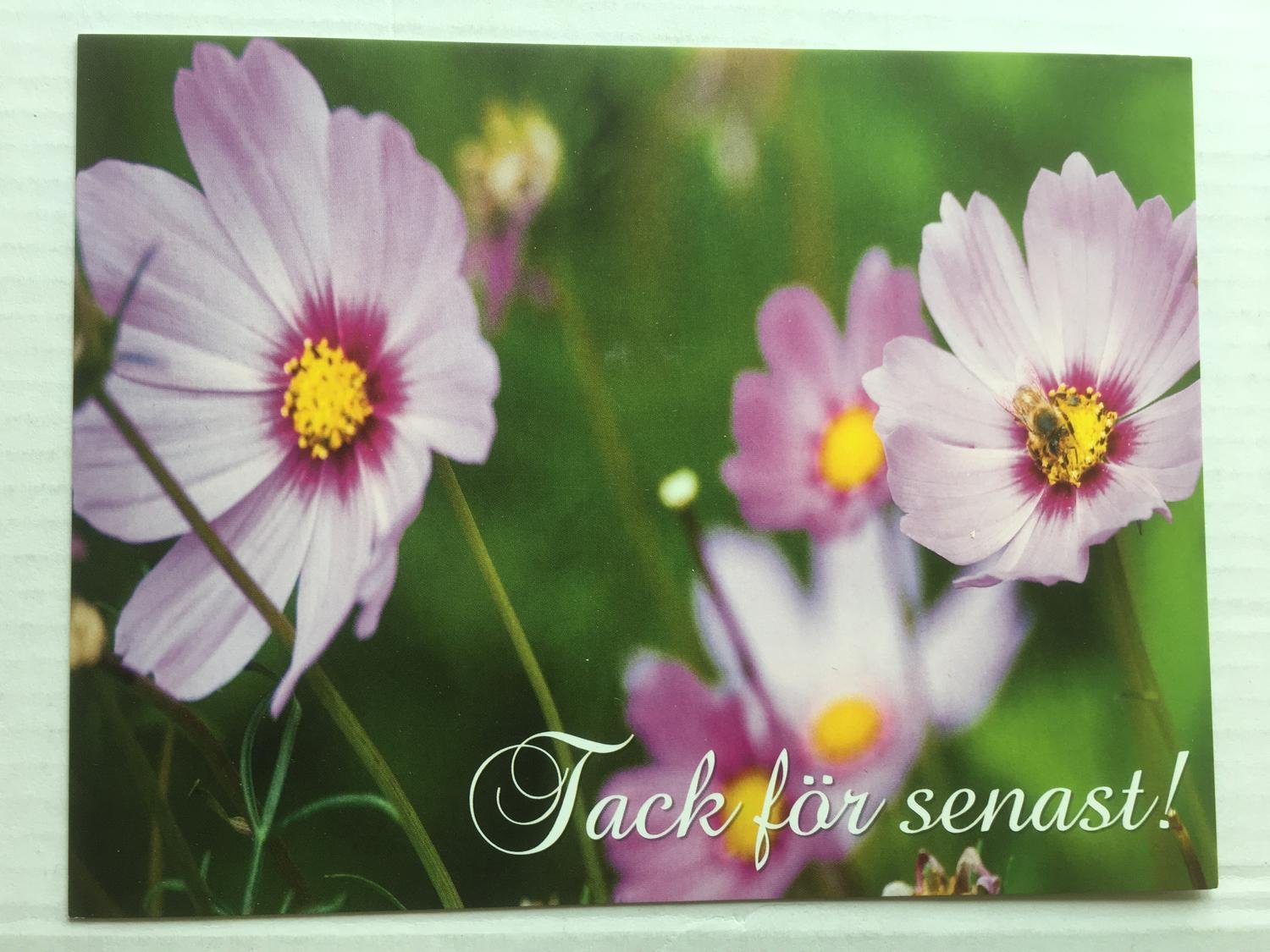 Ett vykort - Tack för senast! - blomma/ blommor | Köp på Tradera ...