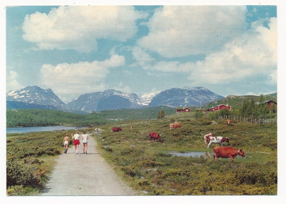 Grunke Vestre Slidre Folk p.. | Köp från BrunnstaHandel på Tradera ...