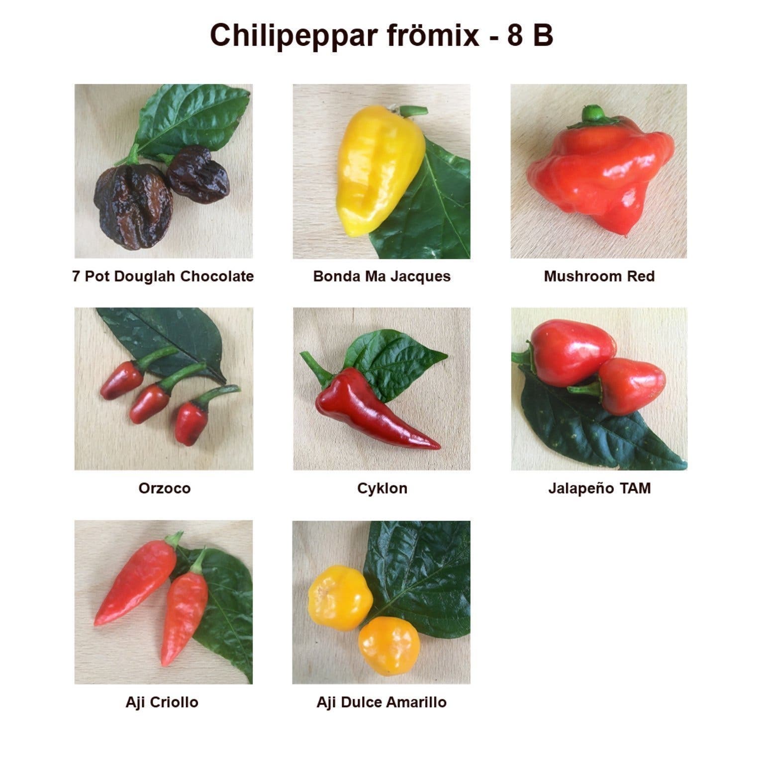 Se produkter som liknar Chili peppar frömix 8 B på Tradera (652615063)