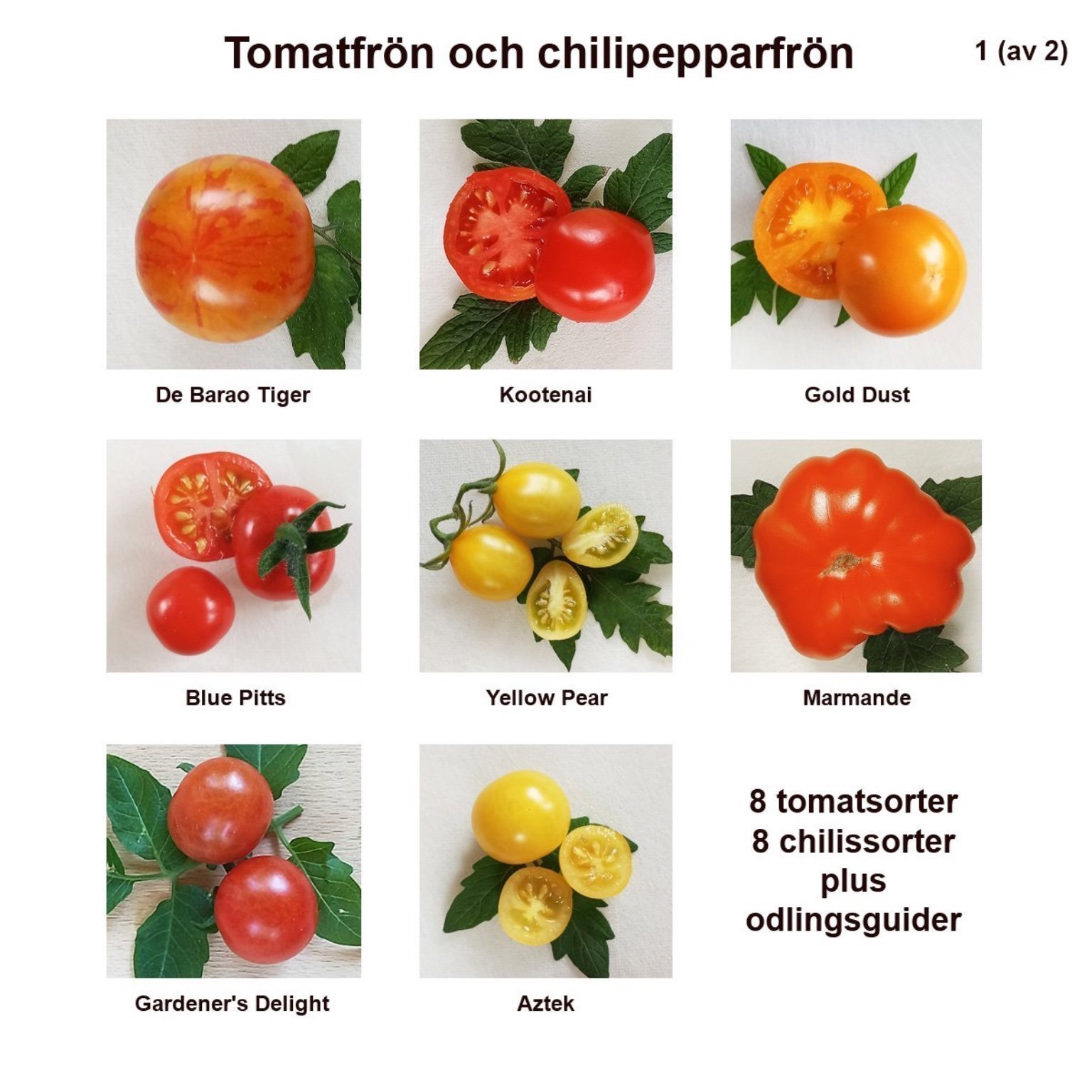 Tomatfrön och chilifrön 16 sorter | Köp på Tradera (690117510)