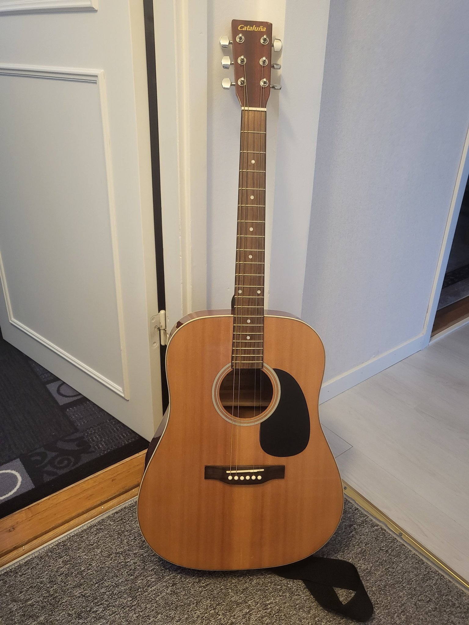 Se produkter som liknar Cataluna gitarr DG -30 på Tradera (572375489)