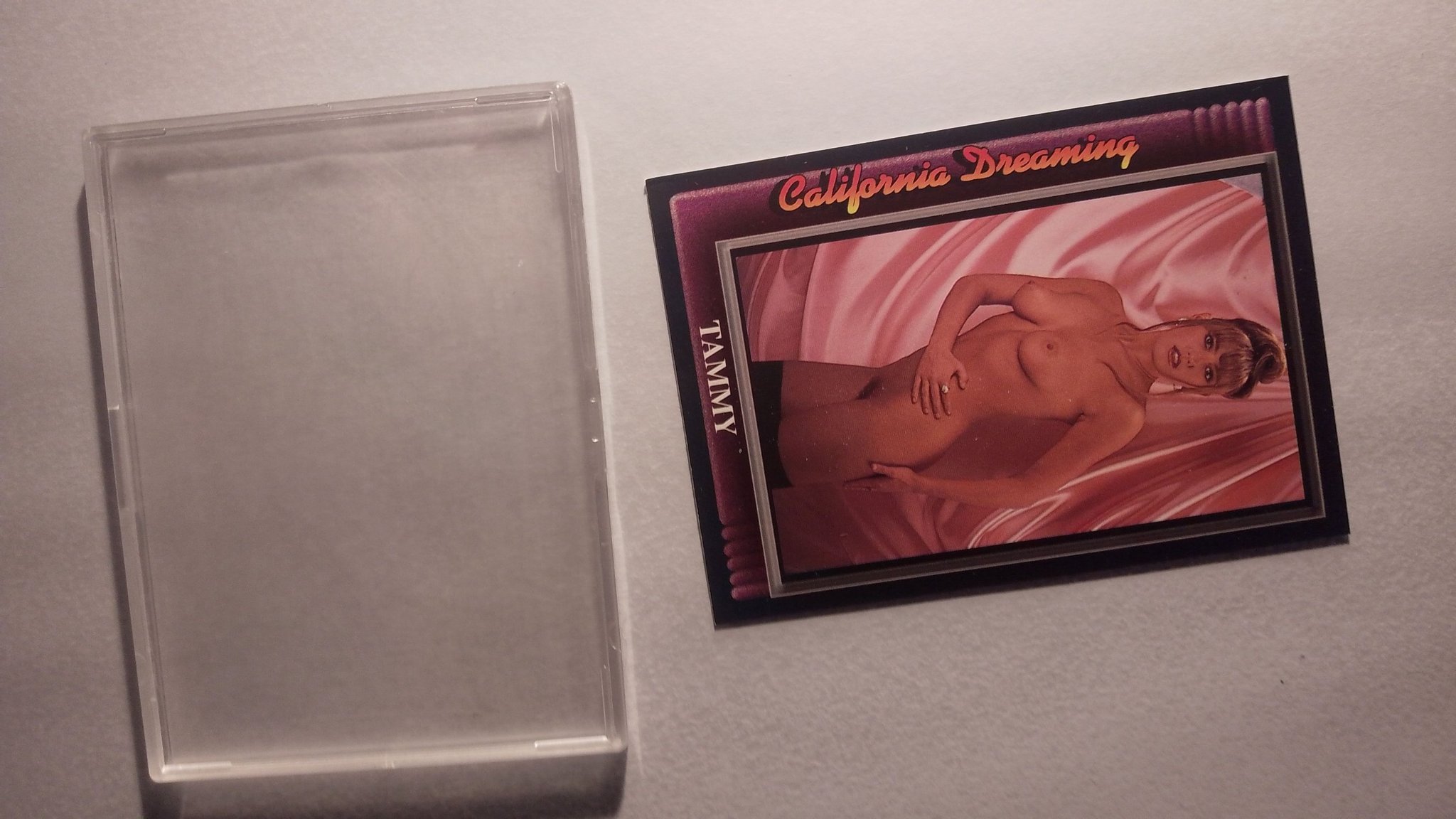 1991 Holo Pleasures Inc - CALIFORNIA DREAMING -.. | Köp på Tradera ...