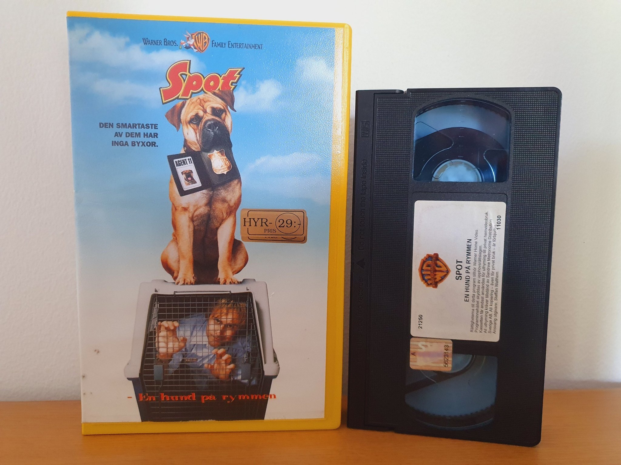 Spot / See Spot Run (2001) Hyrvideo X-rental. D.. | Köp på Tradera ...