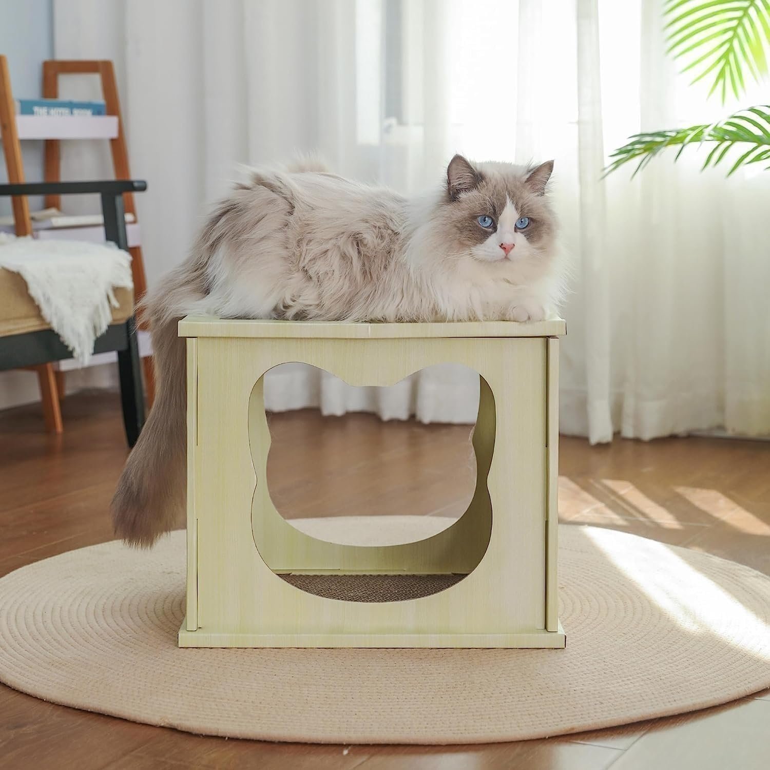 NYTT Katthus + kattskrap med kattm.. | Köp från Barabar på Tradera ...