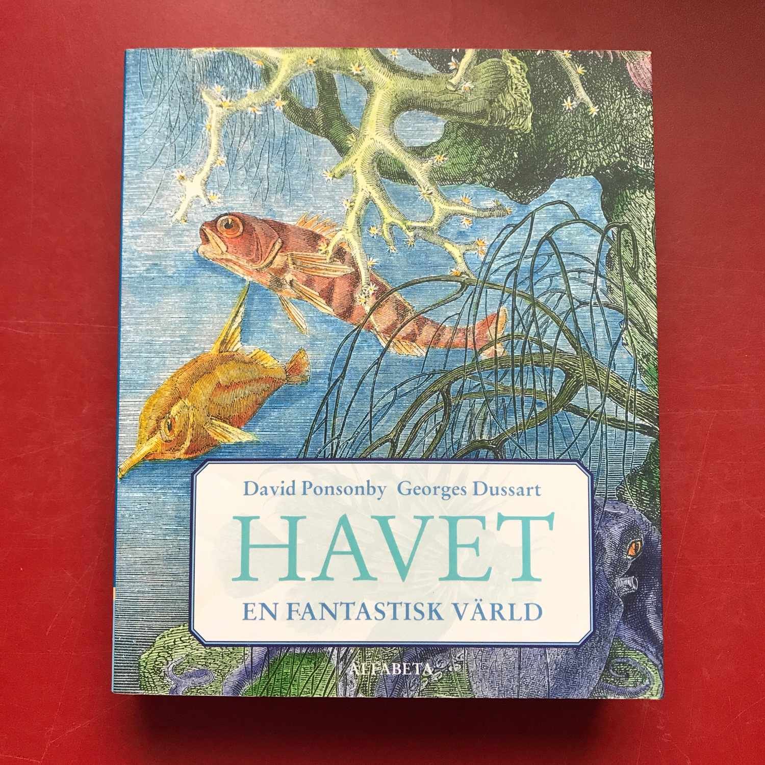 HAVET EN FANTASTISK VÄRLD Da.. | Köp från Haldins_Hylla på Tradera ...