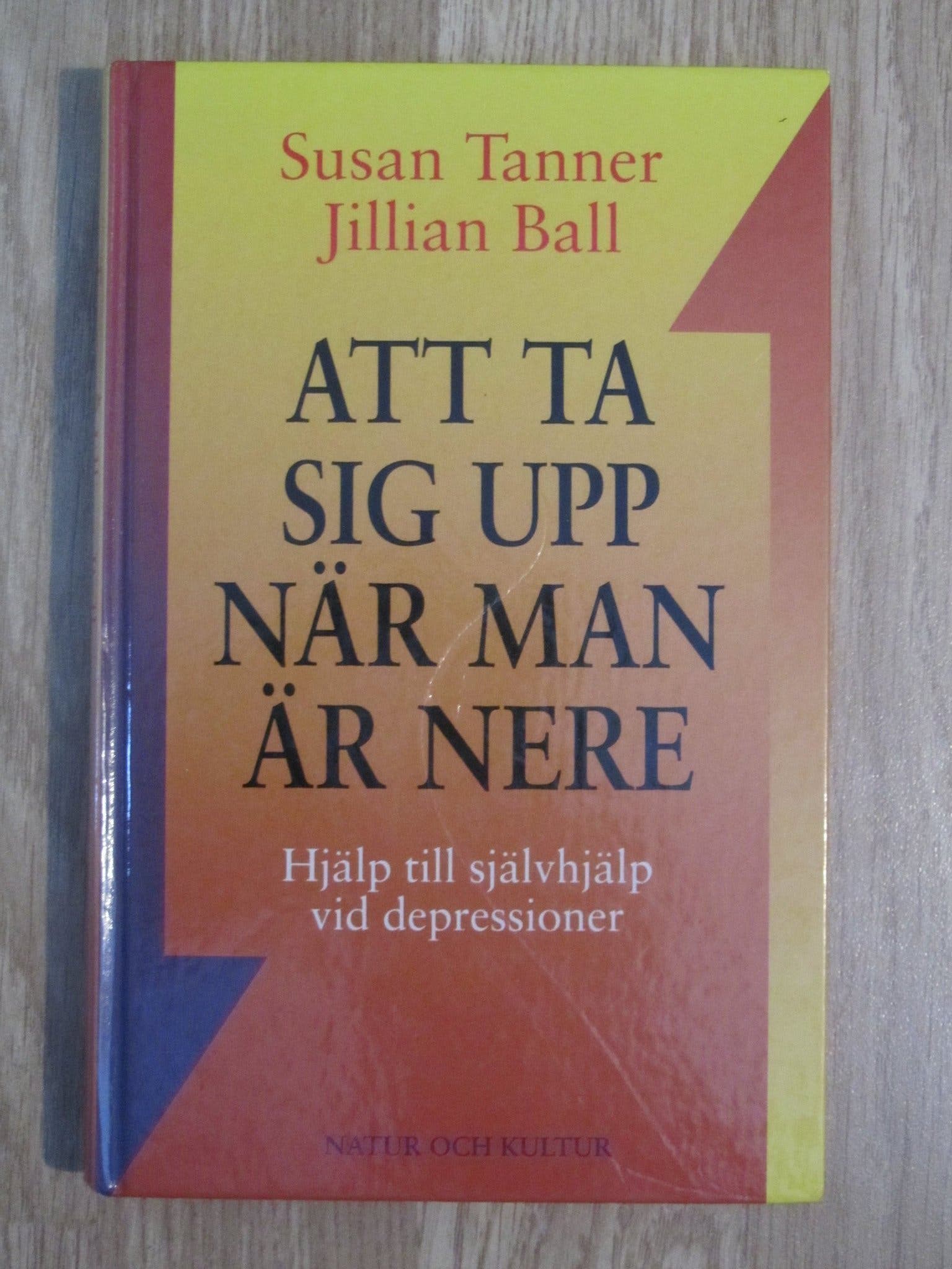 Att ta sig upp när man är nere - Susan Tanner, .. | Köp på Tradera ...