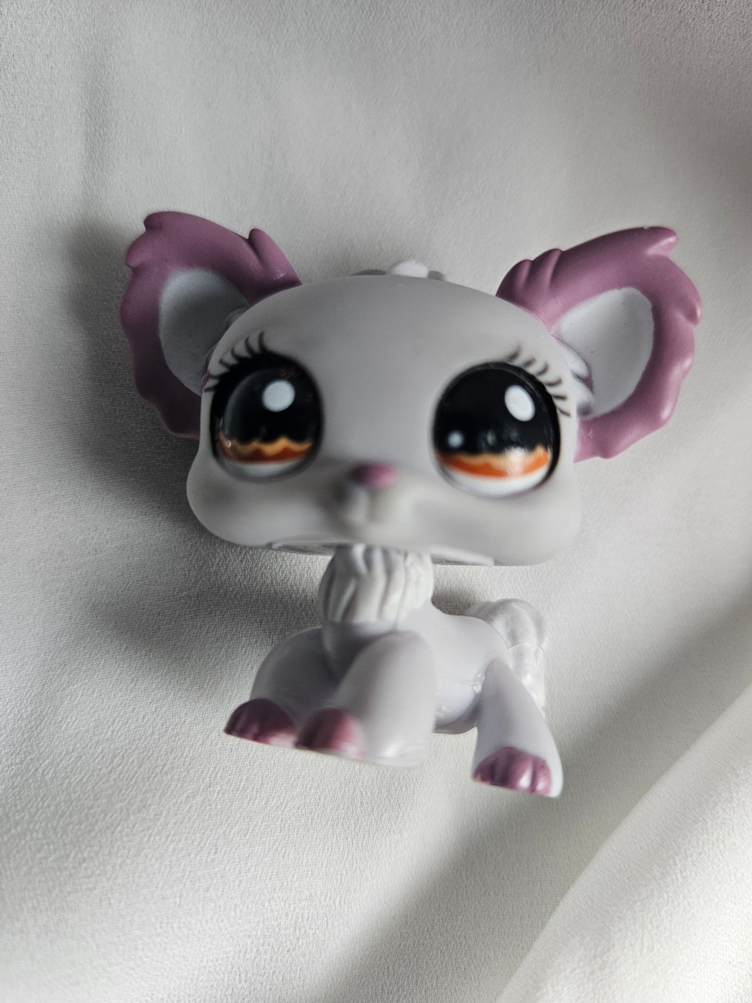LPS littlest pet shop Chihuahua | Köp på Tradera (680503328)