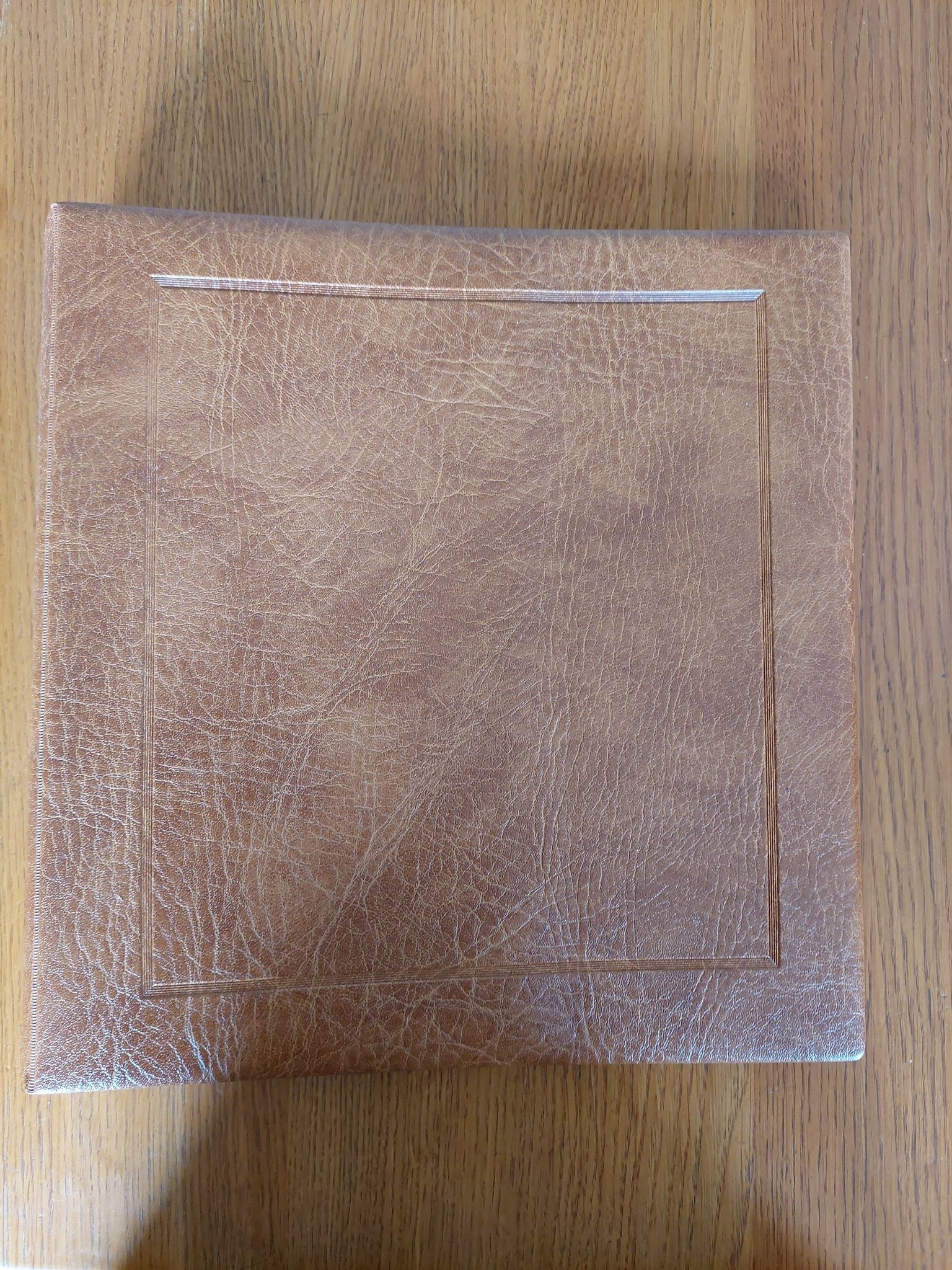 Se produkter som liknar SAFE album utan blad på Tradera (693012719)