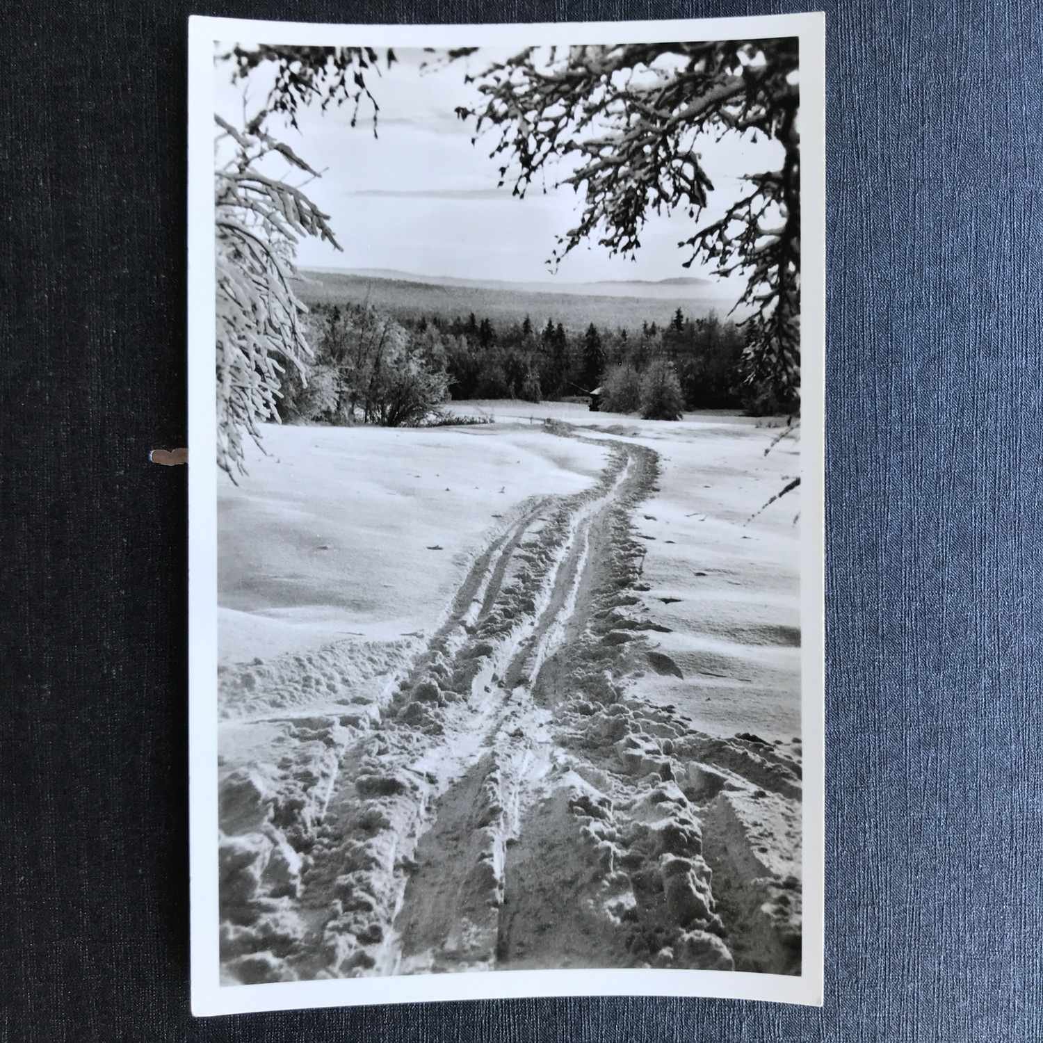 Julkort med vintermotiv . God jul Axel Eliasson.. | Köp på Tradera ...