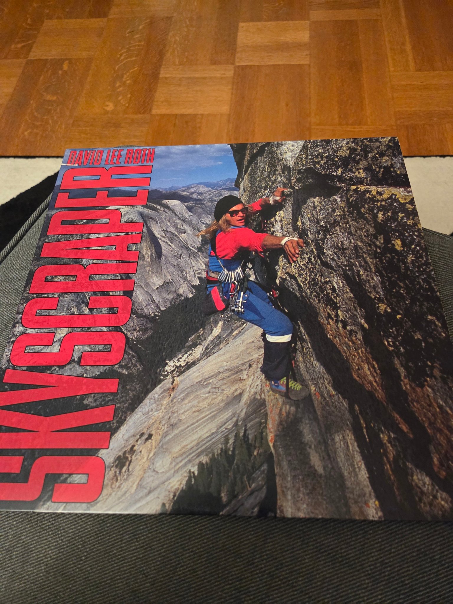 Se produkter som liknar David Lee Roth - Skyscraper -.. på Tradera ...