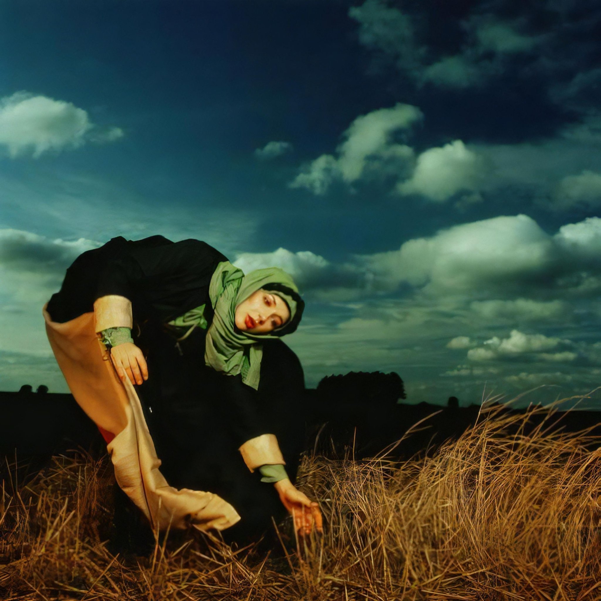 Brian Griffin- A broken frame (Kate Bush 1983) .. | Köp på Tradera ...