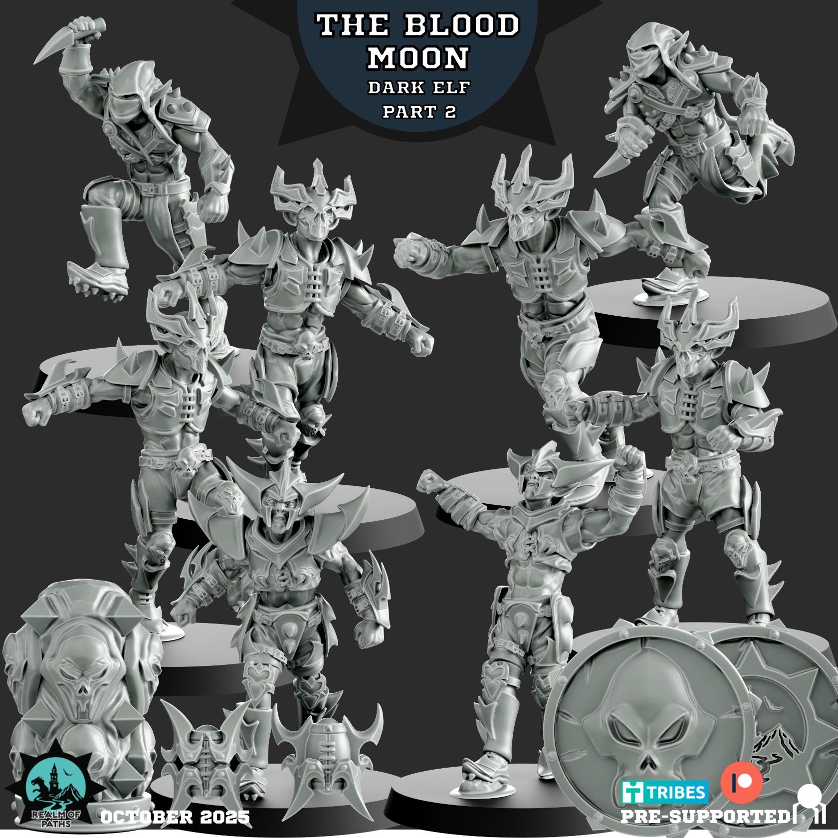 Dark Elf Team Part 2, Blood Bowl,Dungeon bowl F.. | Köp på Tradera ...