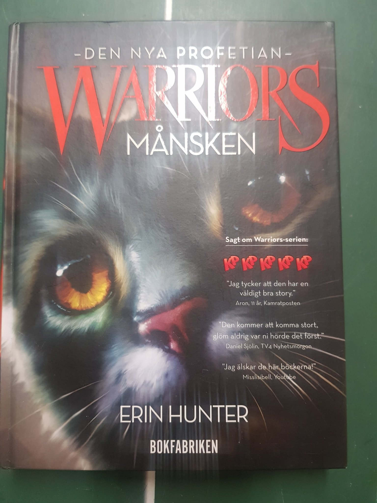 Se produkter som liknar Warriors - Månsken - Erin Hun.. på Tradera ...