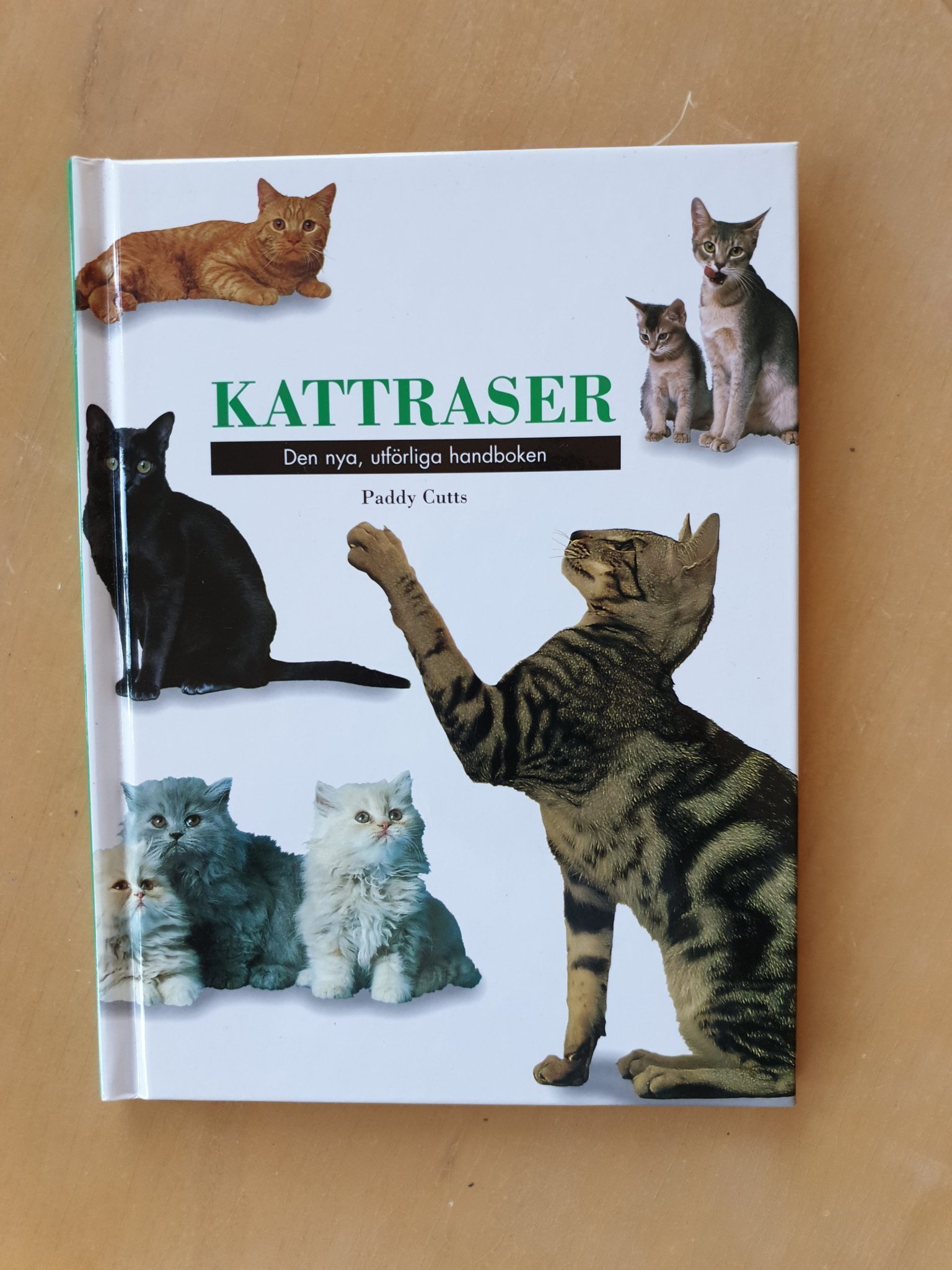 Se produkter som liknar katt, kattraser, Ny, kattor, .. på Tradera ...