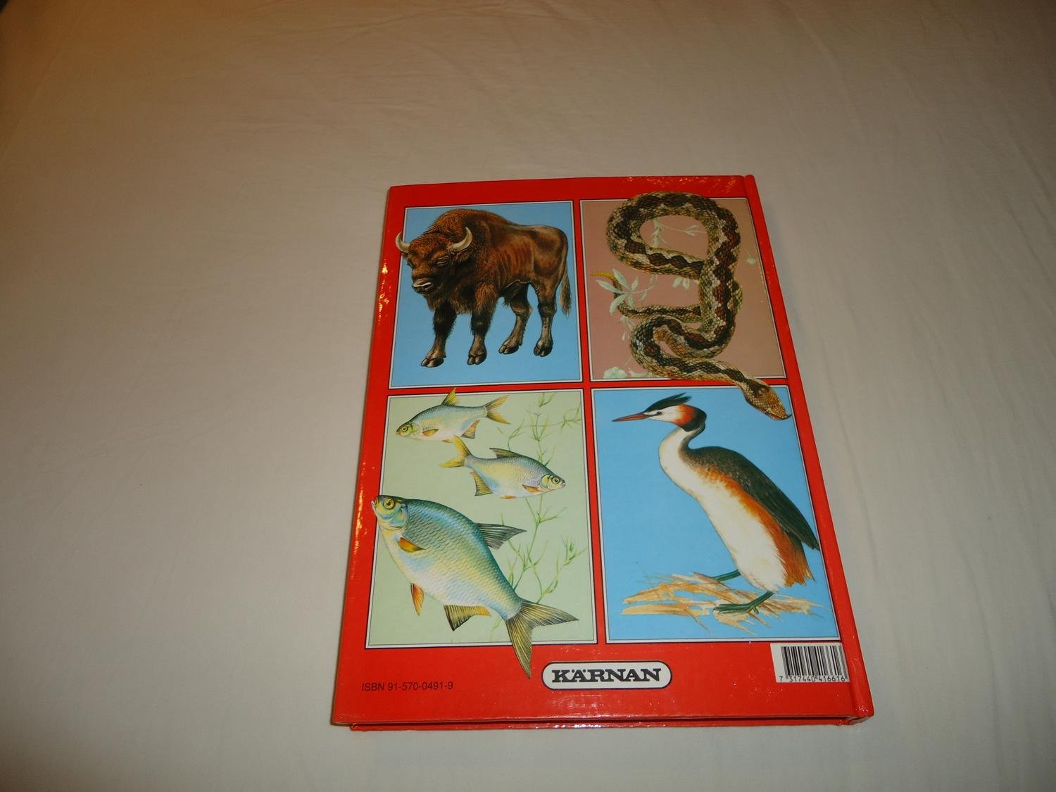 Den stora boken om djurens värld inbunden bok S.. | Köp på Tradera ...