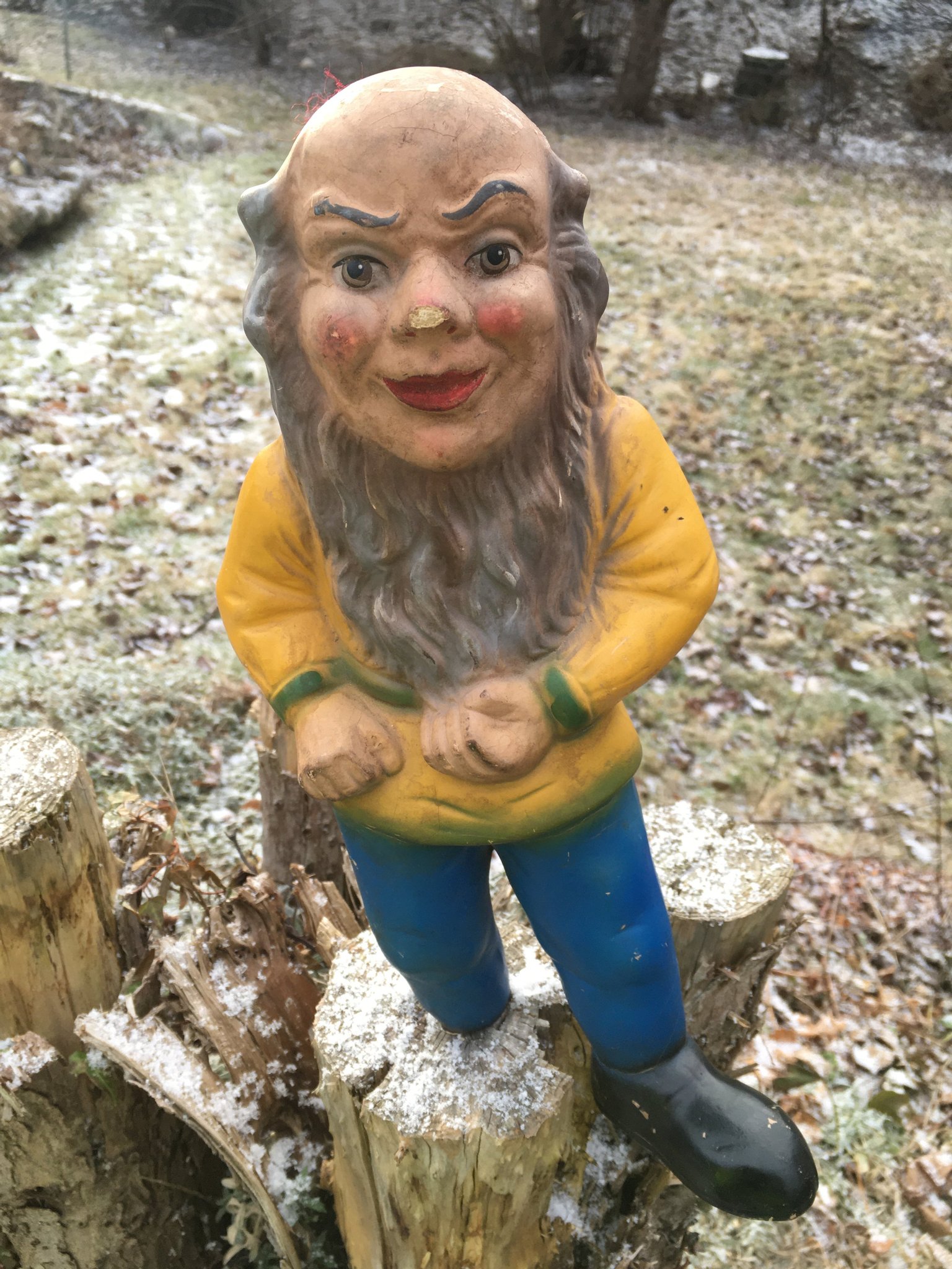 Trädgårds Tomte Gammal Gubbe Automatonophobia O.. | Köp på Tradera ...