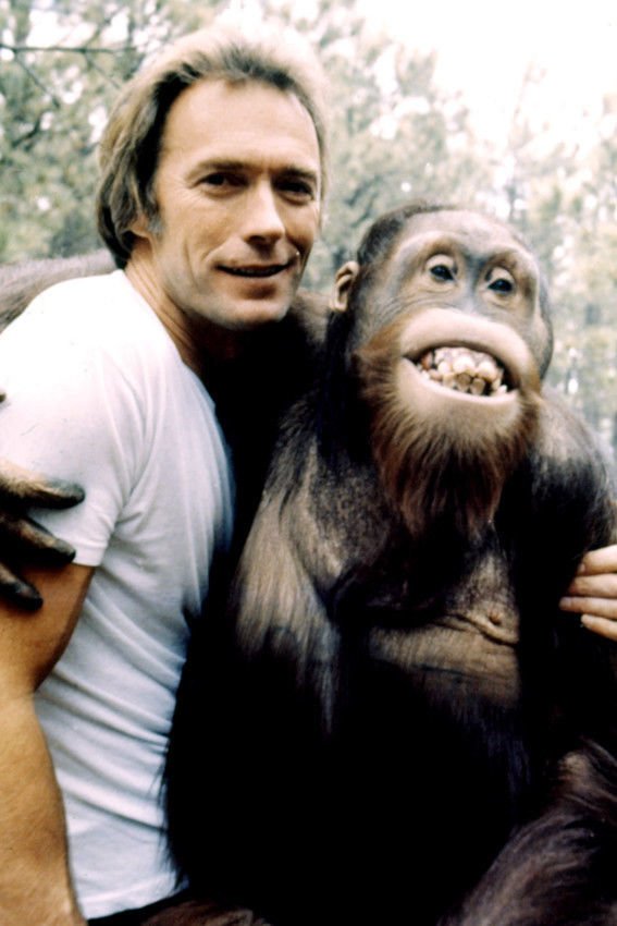 CLINT EASTWOOD WITH CLYDE THE ORANGUTAN *EVERY .. | Köp på Tradera ...