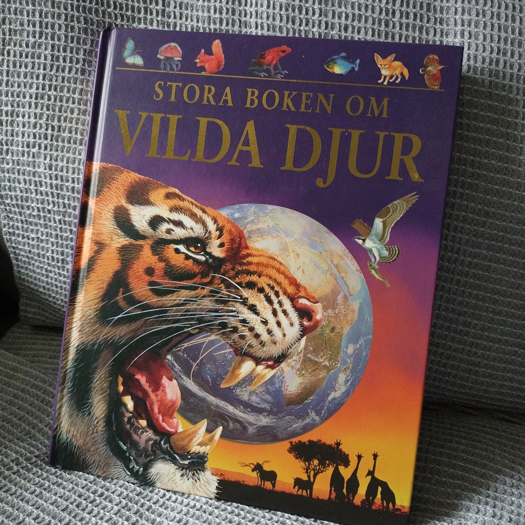 Se produkter som liknar Stora boken om vilda djur på Tradera (582234819) Se produkter som liknar Stora boken om vilda djur på Tradera (582234819)