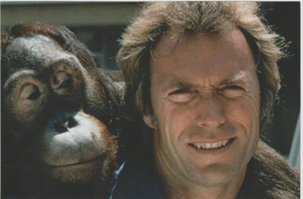 CLINT EASTWOOD WITH CLYDE THE ORANGUTAN *EVERY .. | Köp på Tradera ...