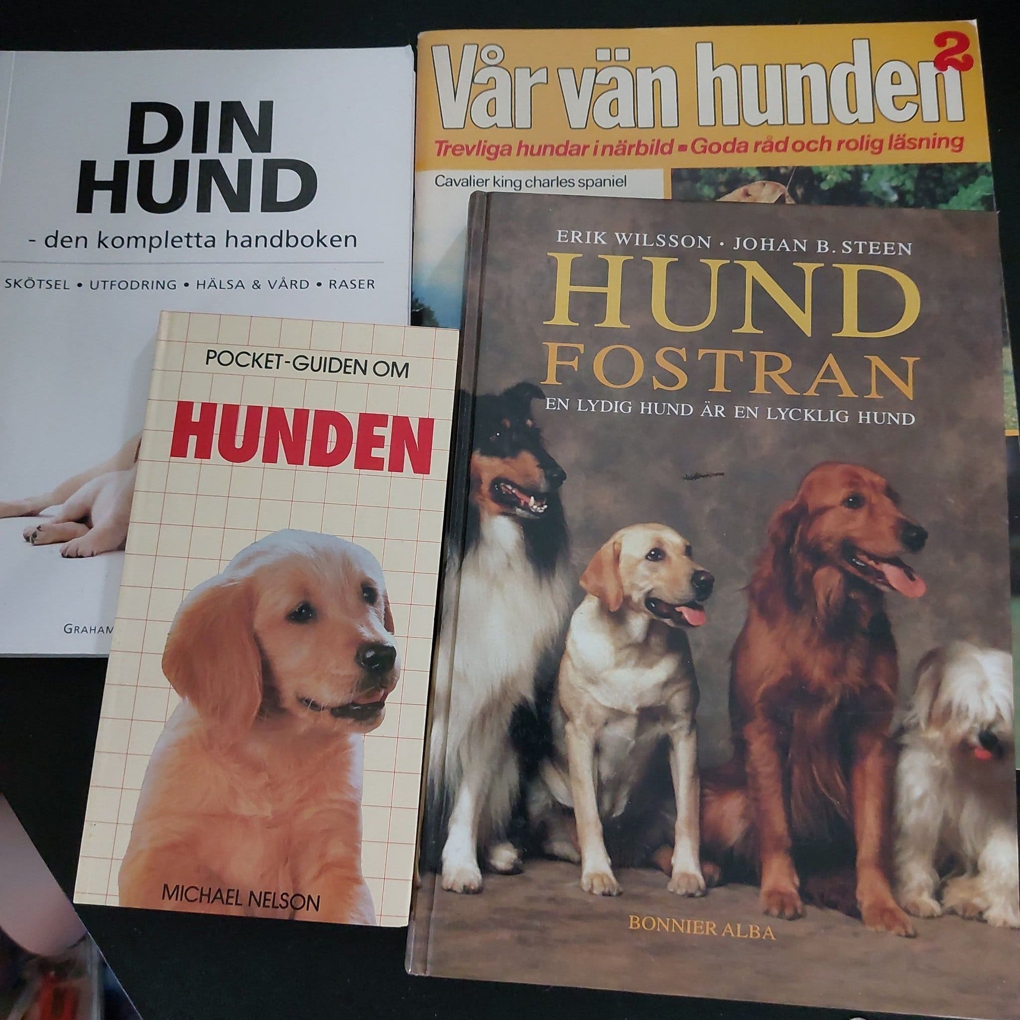 Bokpaket 4 x hund Hundböcker Din Hund Vår Vän H.. | Köp på Tradera ...